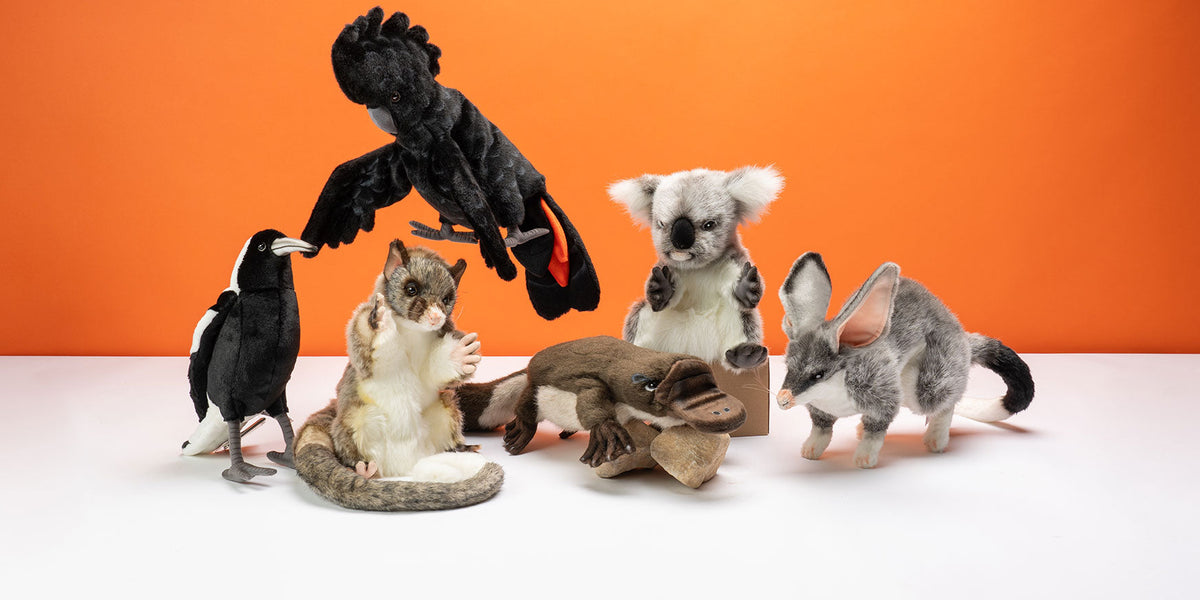 Hansa Puppets — Australian Geographic
