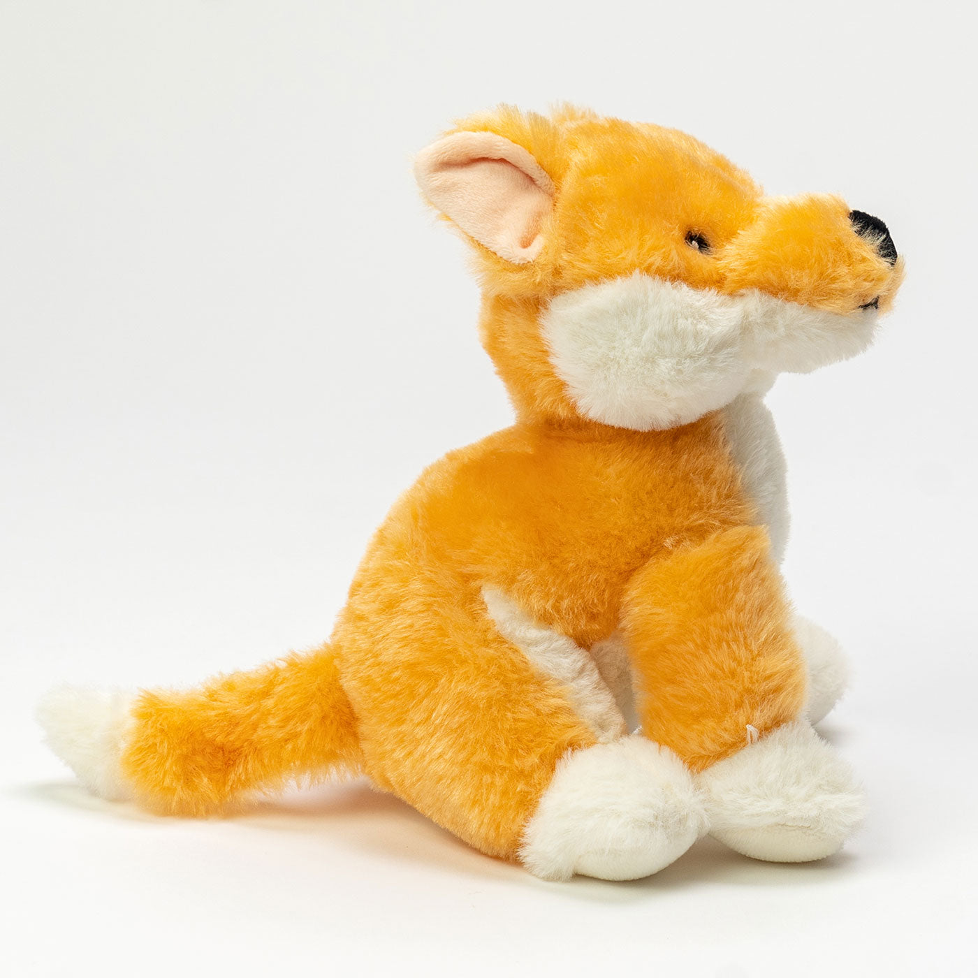 Del Dingo Plush Toy - 20cm — Australian Geographic