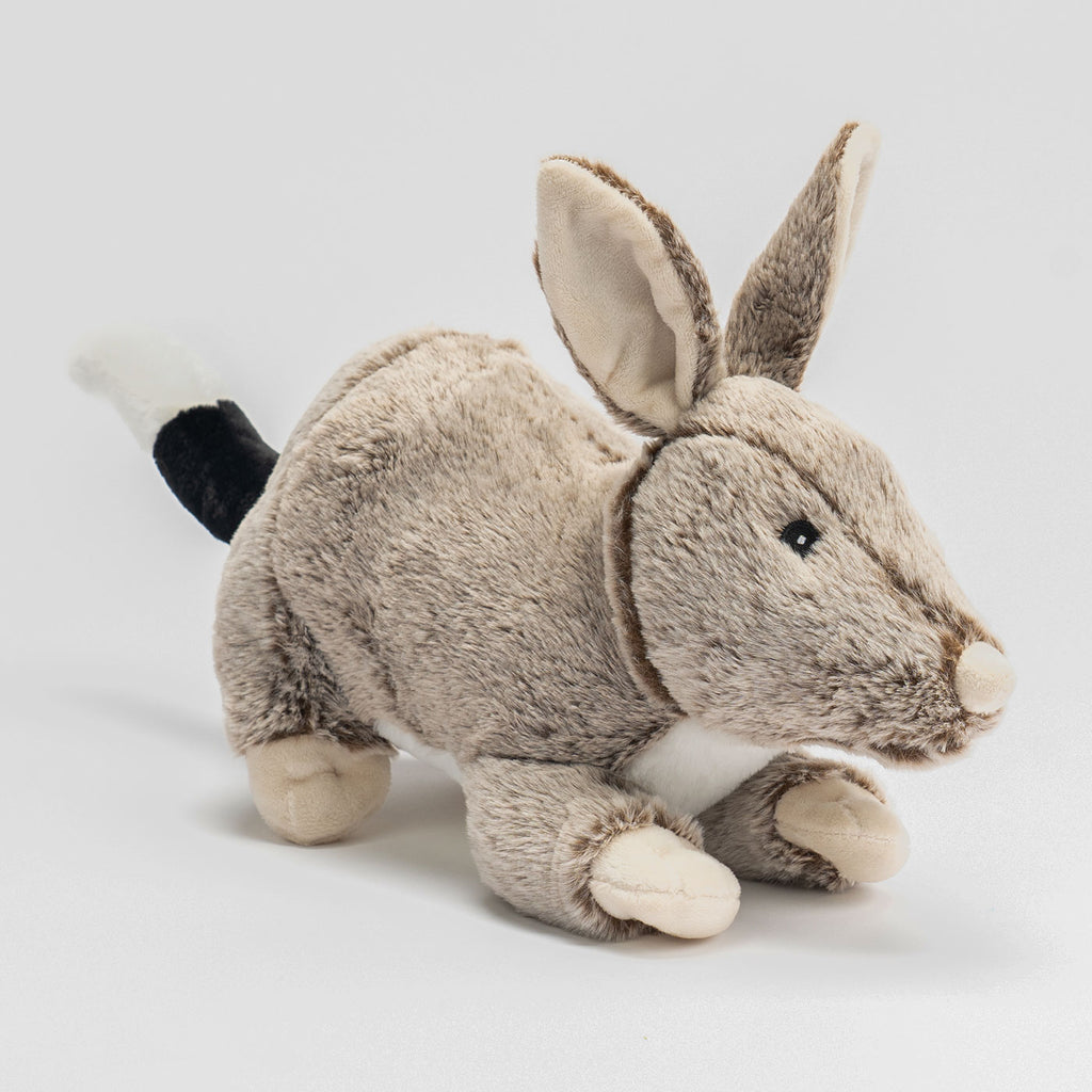 Australian Geographic Shop | Educational Toys, Telescopes and more
