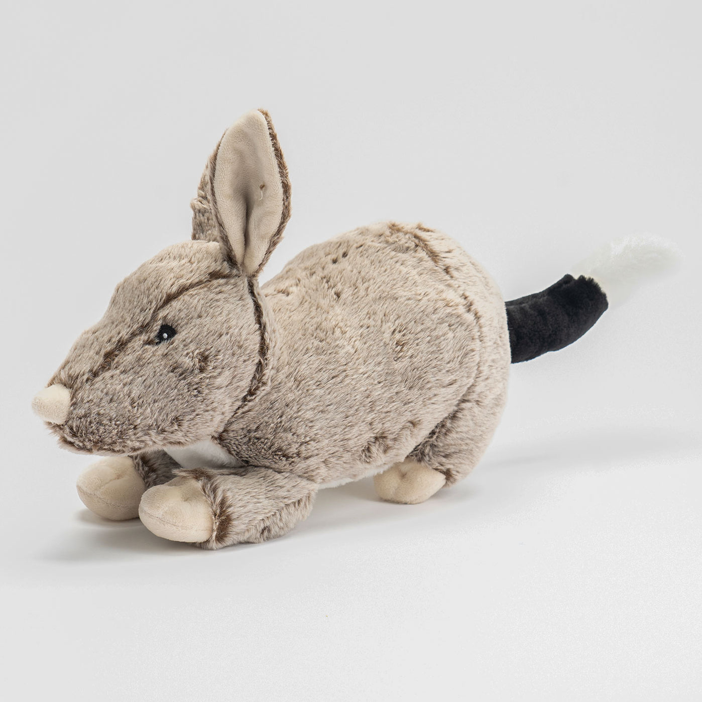 Australian Geographic Shop | Educational Toys, Telescopes and more