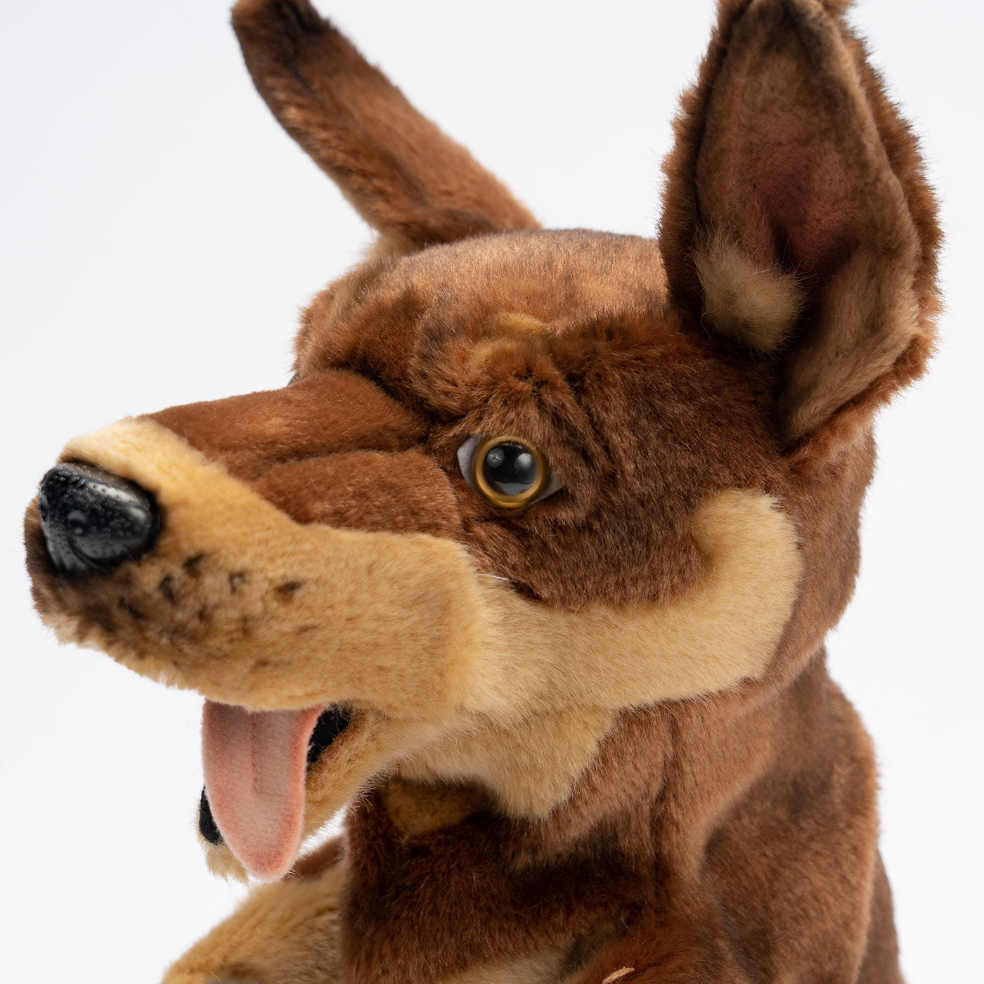 Hansa Australian Kelpie Puppet | Australian Geographic