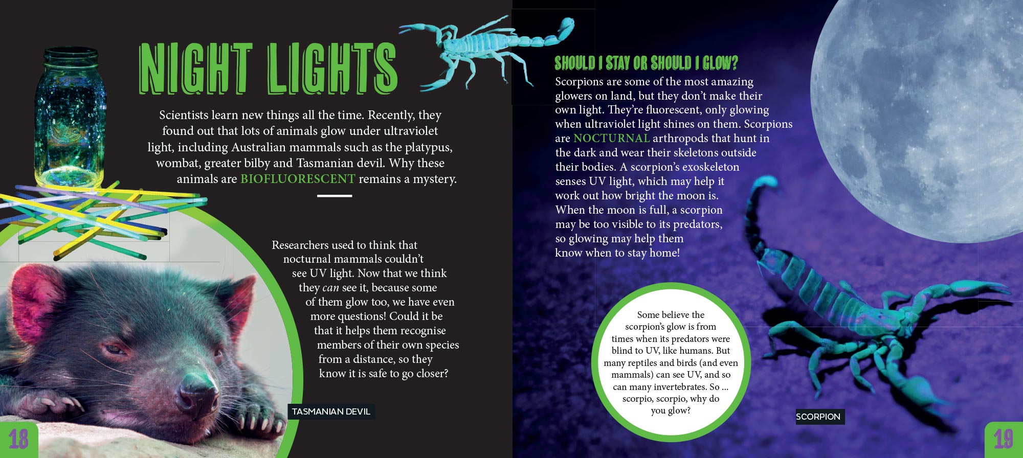 Australian Geographic Discover: Glowing Animals