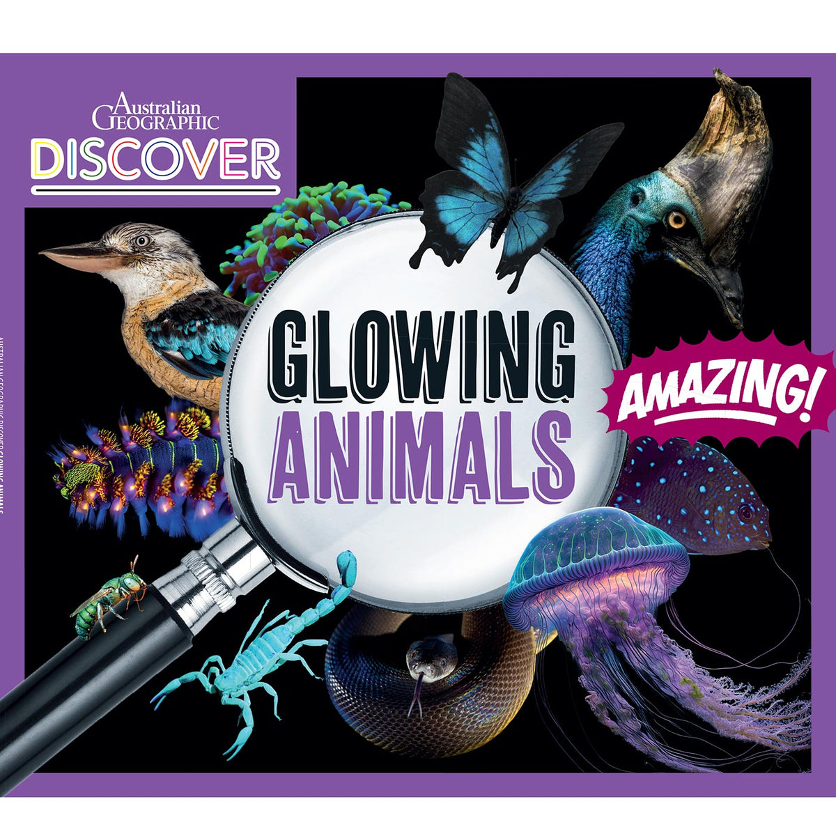 Australian Geographic Discover: Glowing Animals