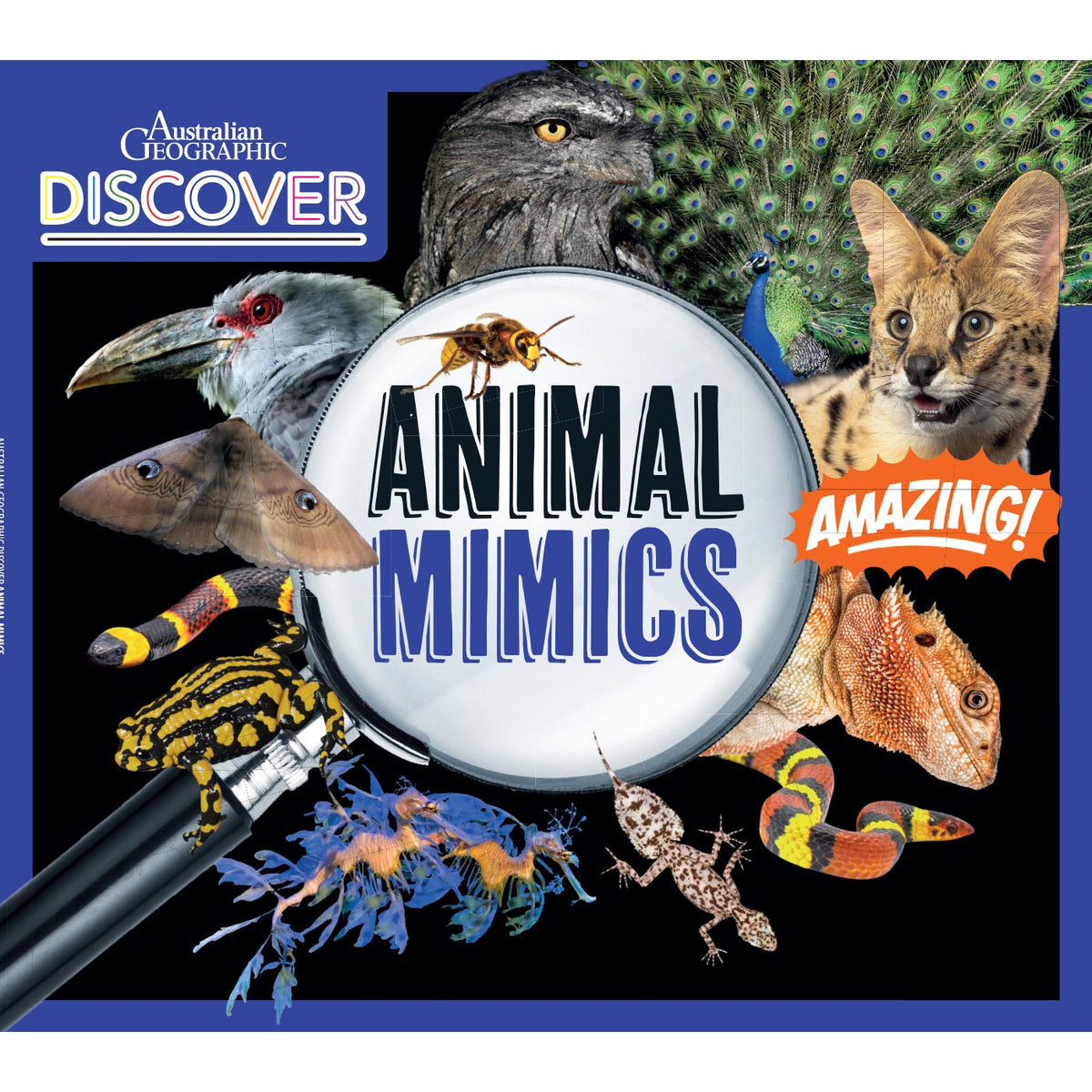 Australian Geographic Discover: Animal Mimics