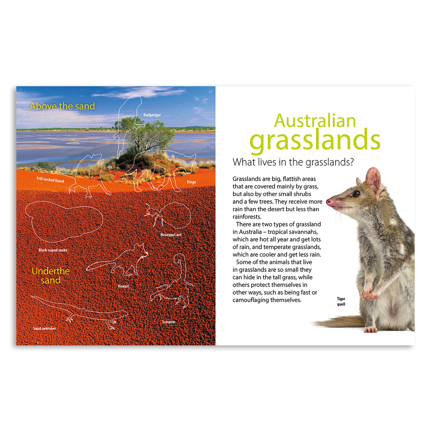 Animal & Nature Books for Kids - Australian Geographic