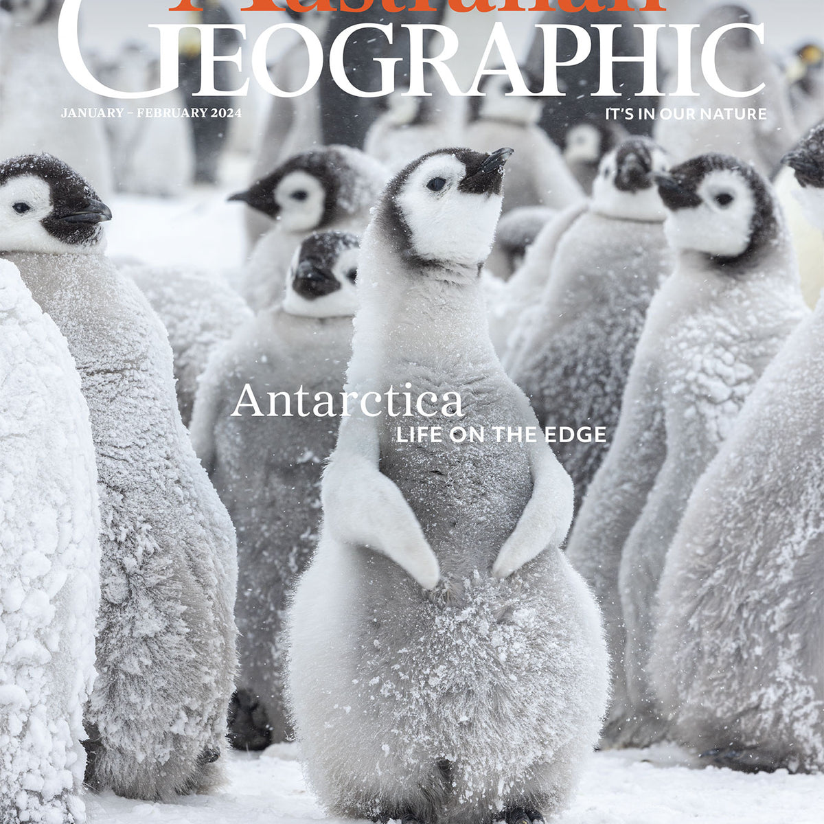 Australian Geographic Magazine - Issue 178 - January/February 2024