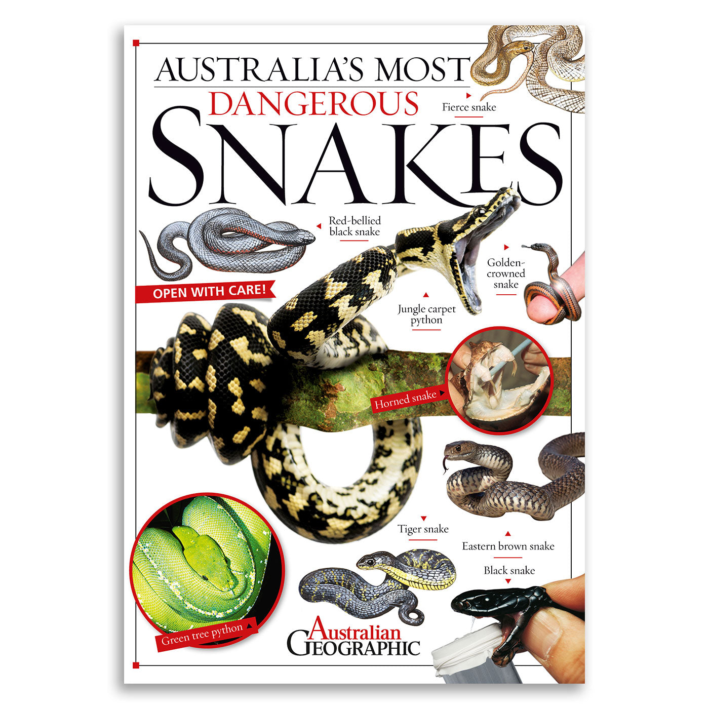 Australia's Most Dangerous Snakes — Australian Geographic