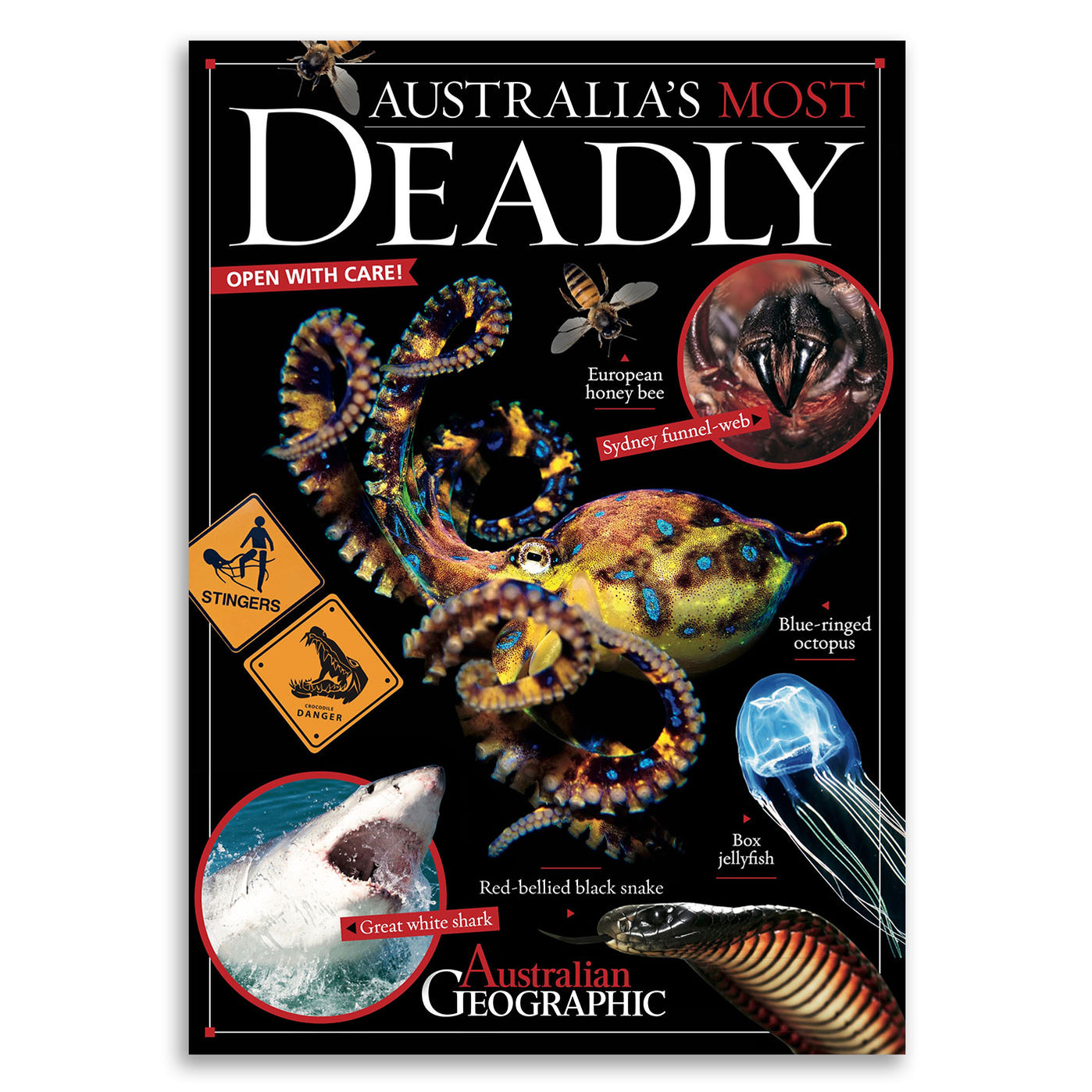 Australian Geographic Products | Shop Online Now