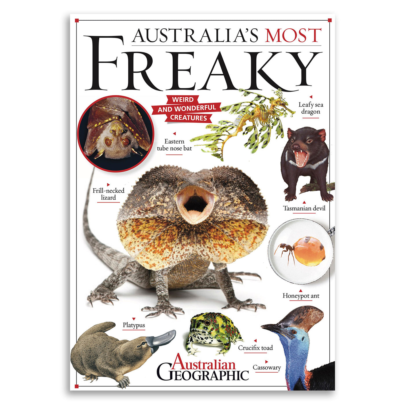 Australian Geographic Products | Shop Online Now