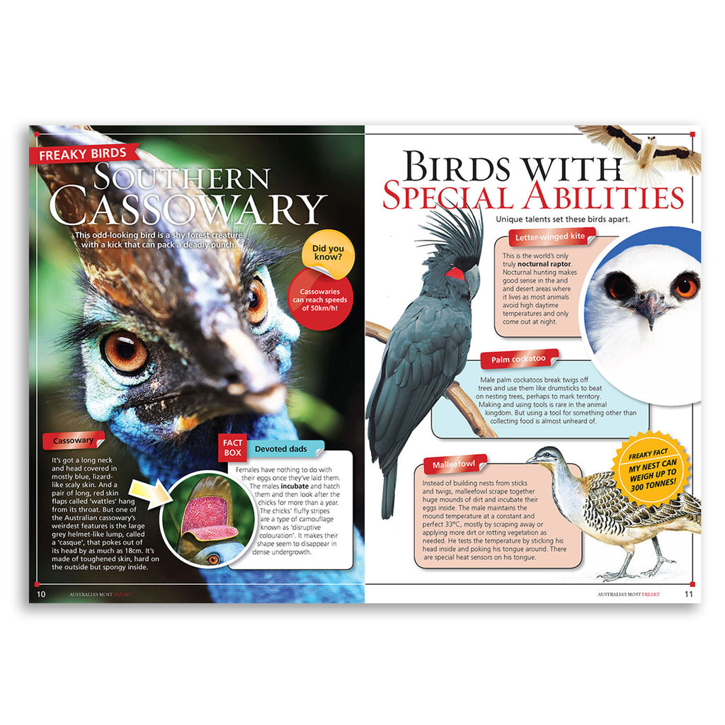 Australian Geographic Products | Shop Online Now