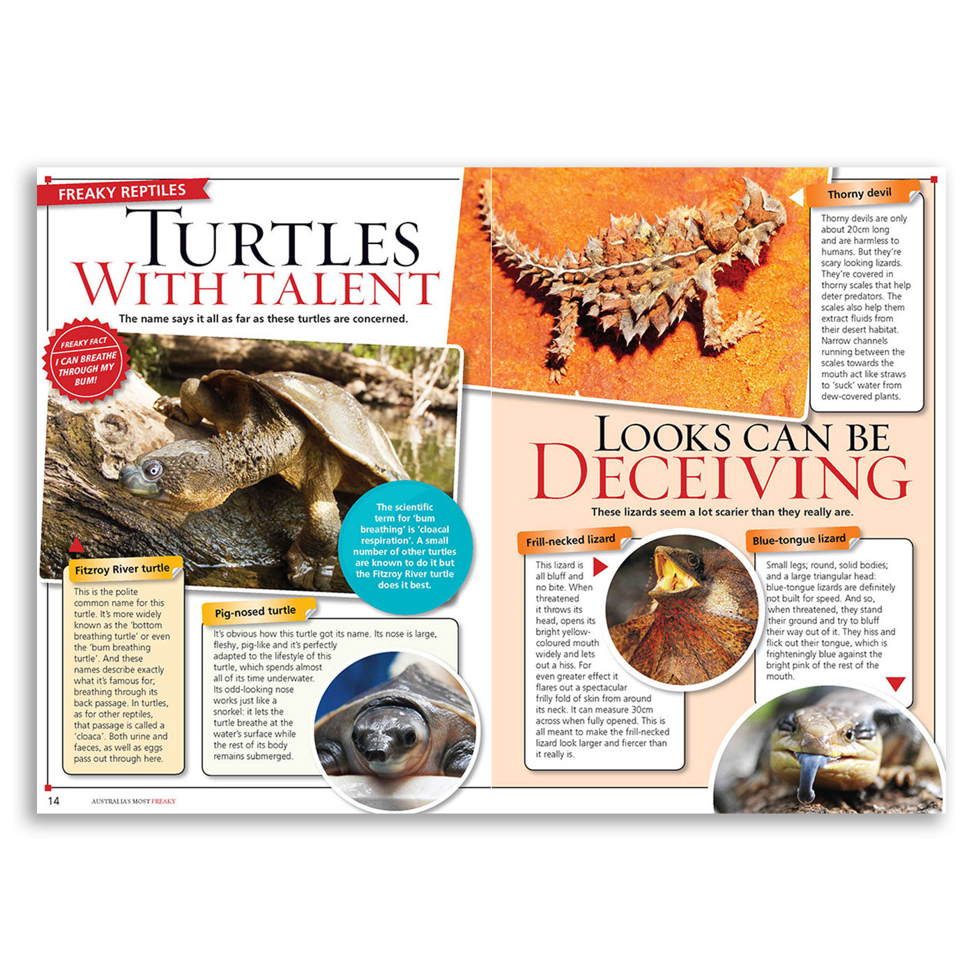 Australia’s Most Freaky — Australian Geographic