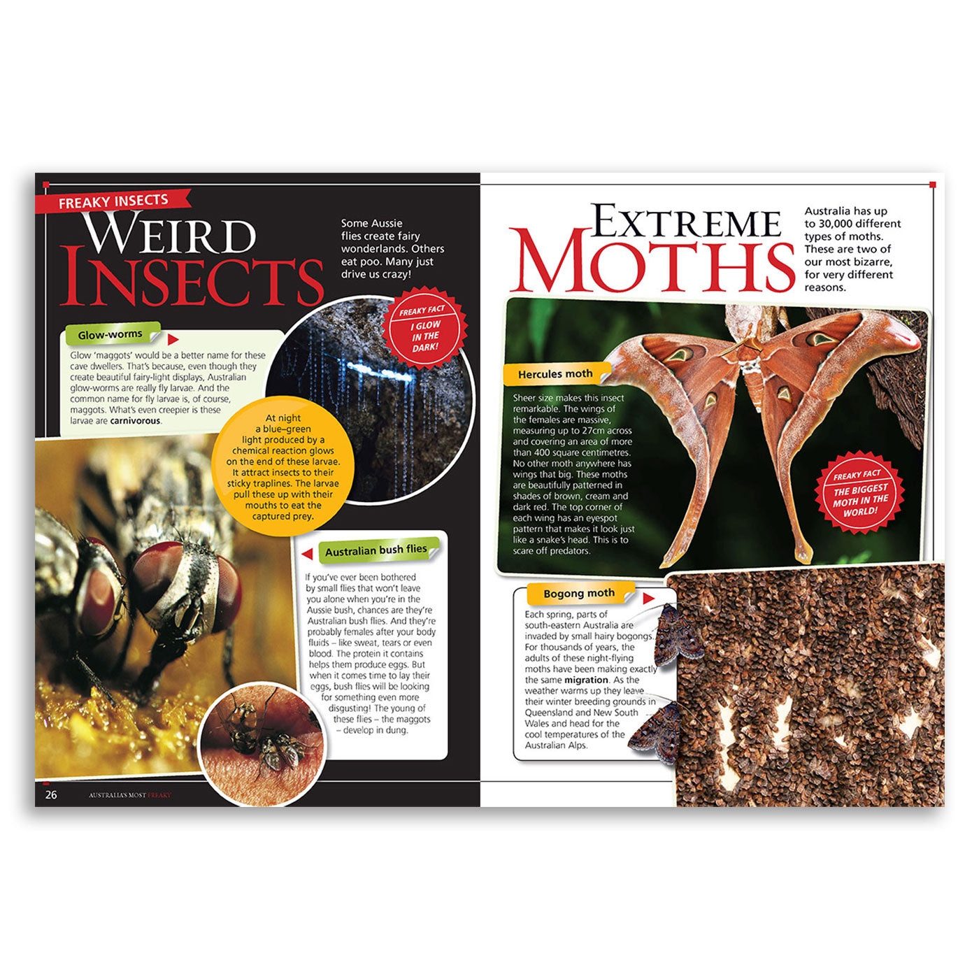 Australia’s Most Freaky — Australian Geographic