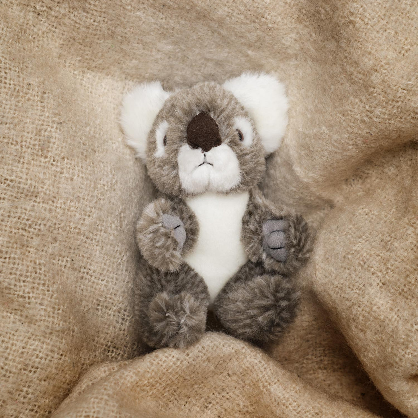 Baby Handfuls Koala - Soft Plush Toy | Australian Geographic