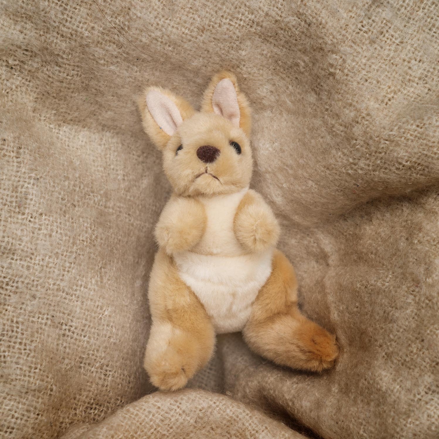 Baby Handfuls Kangaroo - Soft Plush Toy | Australian Geographic