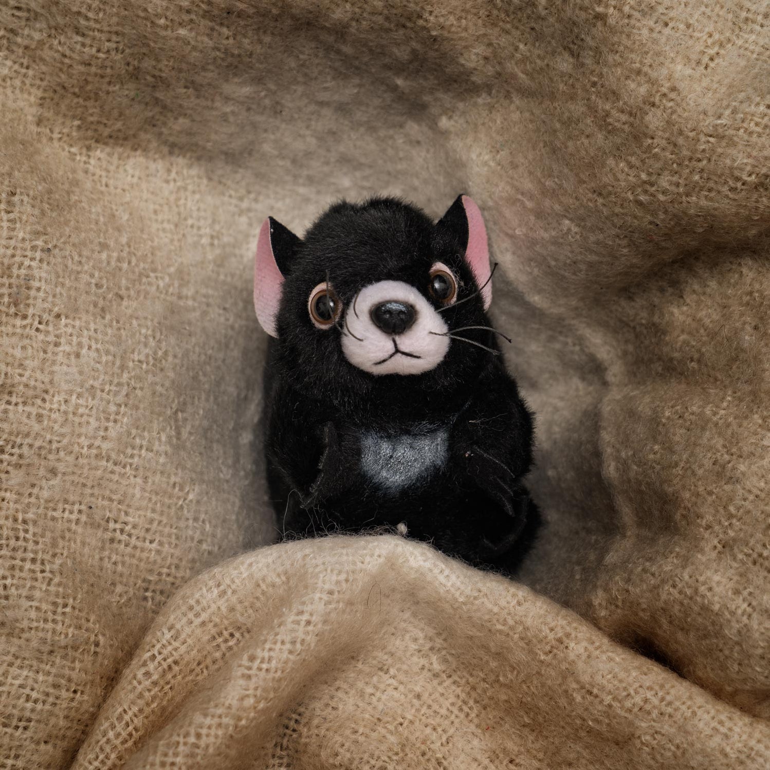 Baby Handfuls Tassie Devil - Soft Plush Toy | Australian Geographic