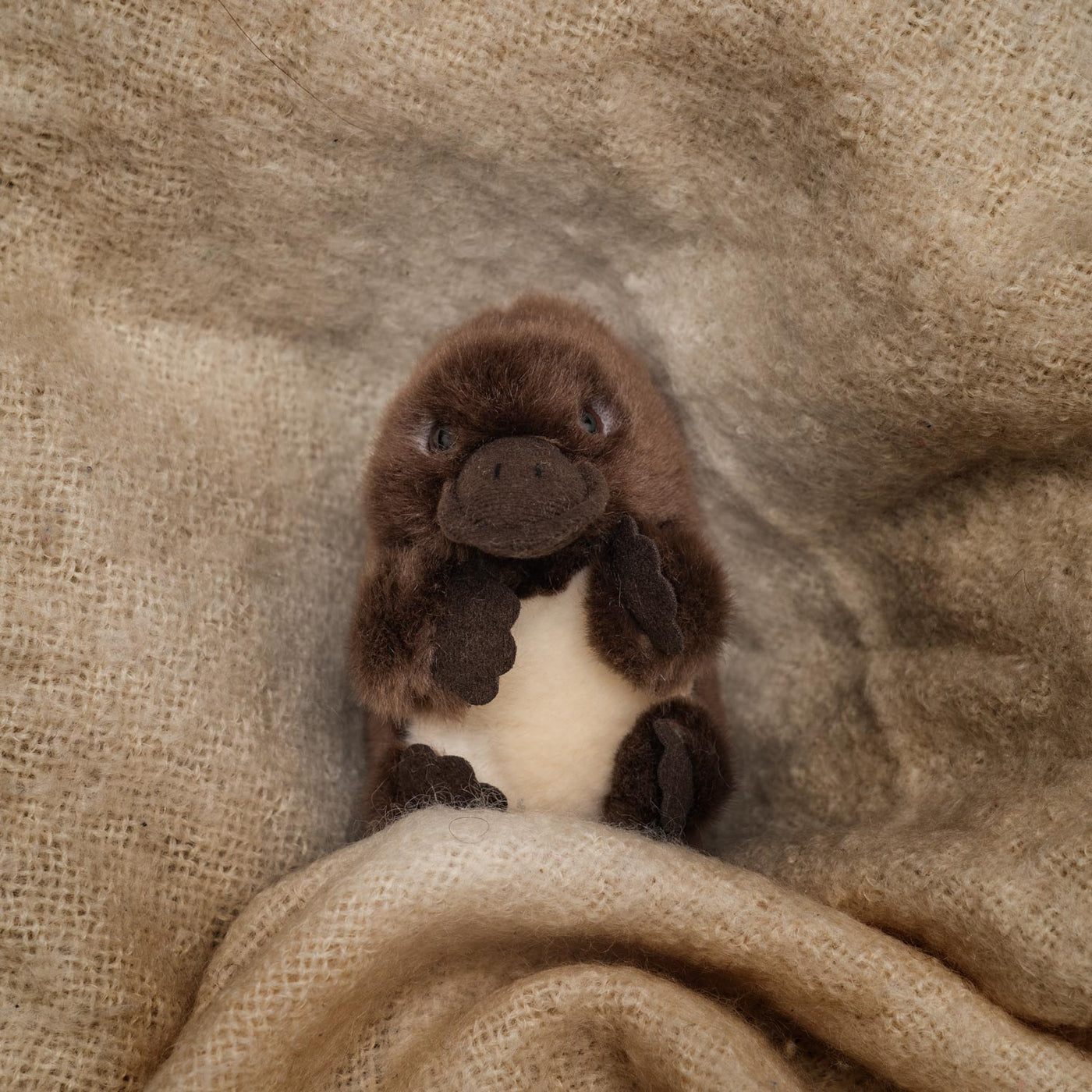 Baby Handfuls Platypus - Soft Plush Toy | Australian Geographic