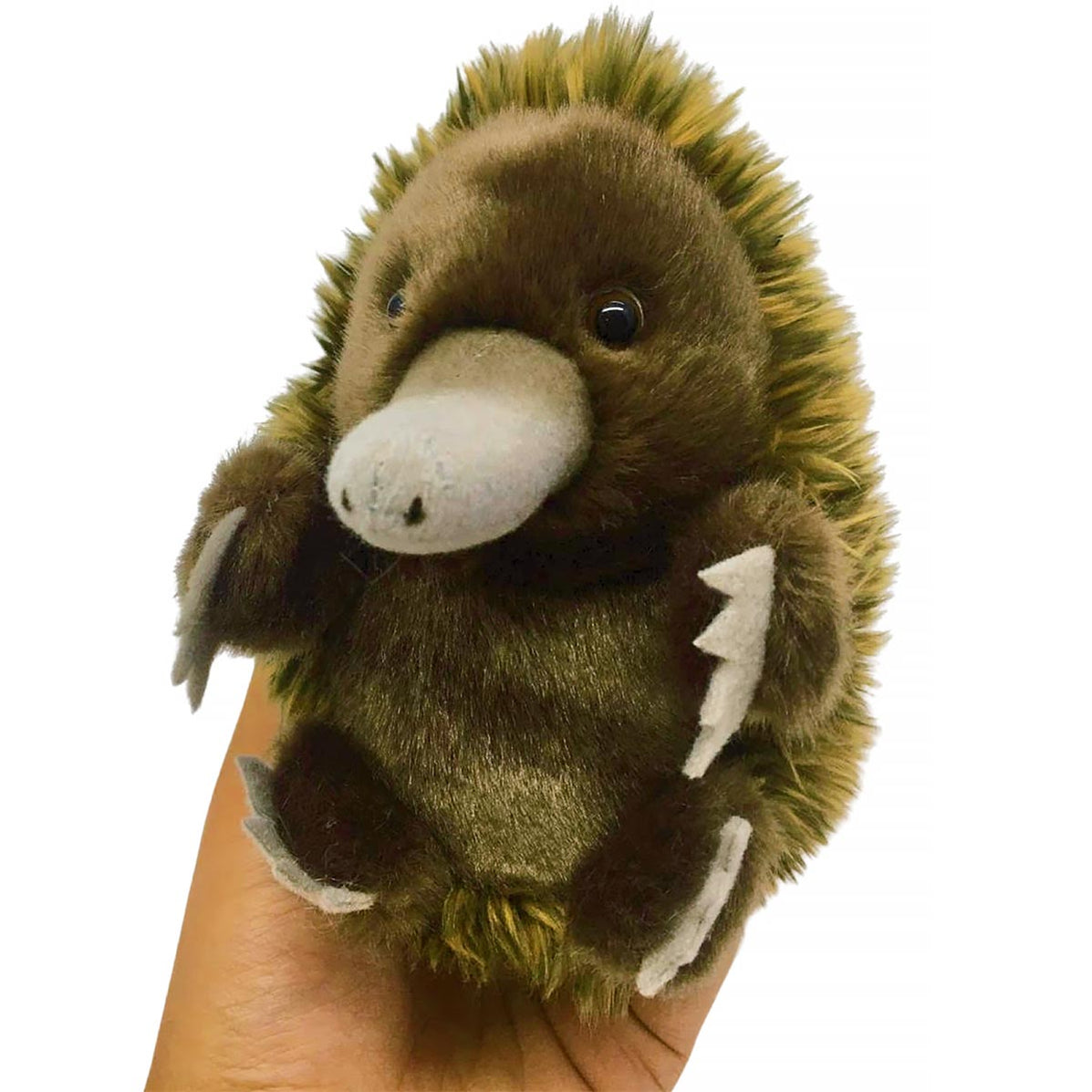 Baby Handfuls Echidna Soft Plush Toy | Australian Geographic