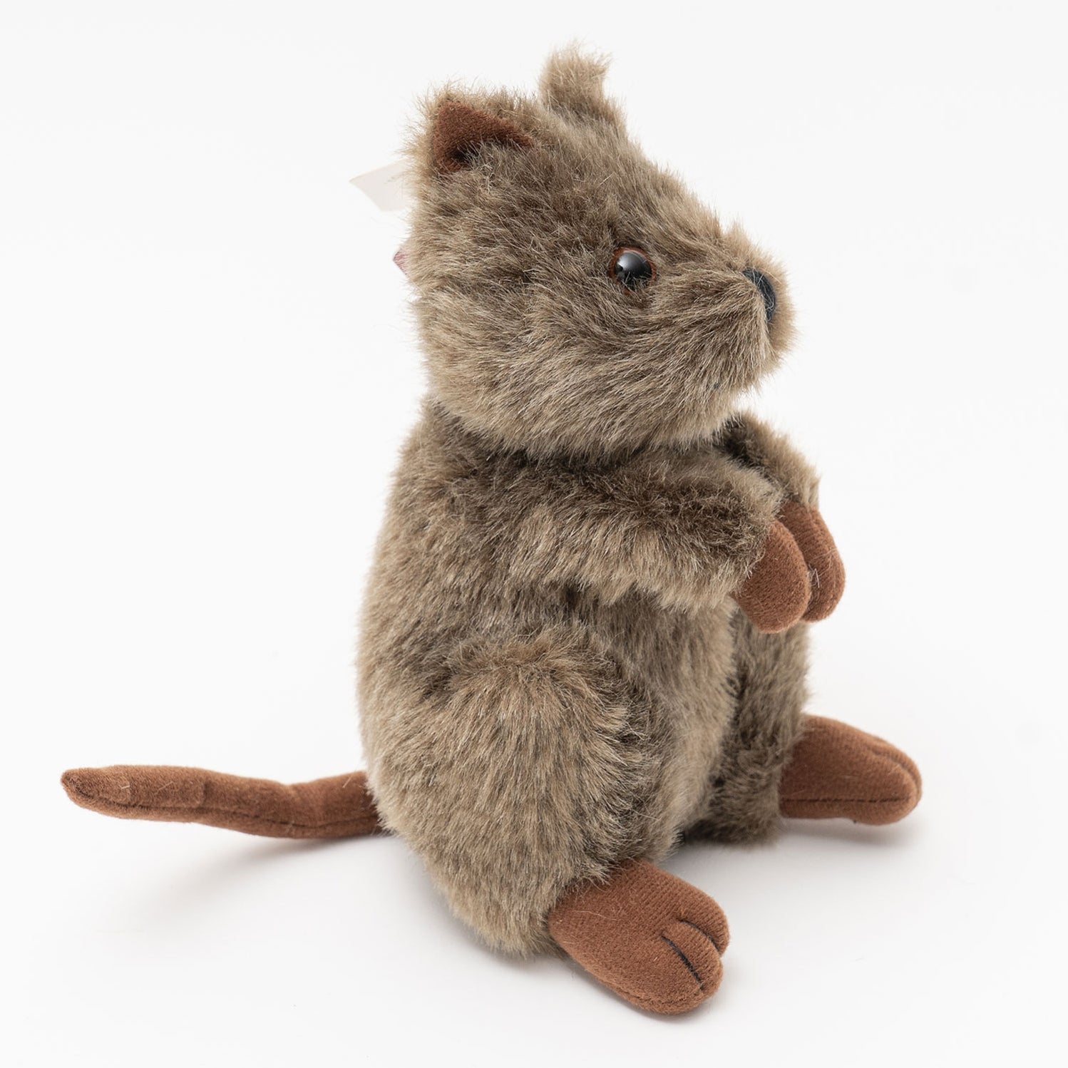 Chuckles The Quokka – 16cm - Soft Plush Toy | Australian Geographic