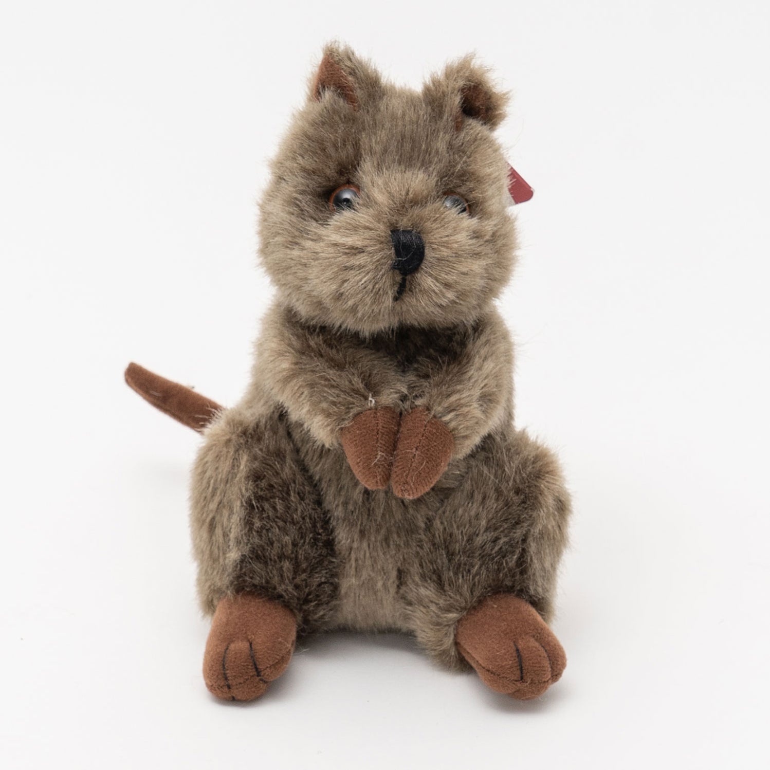 Chuckles The Quokka – 16cm - Soft Plush Toy | Australian Geographic