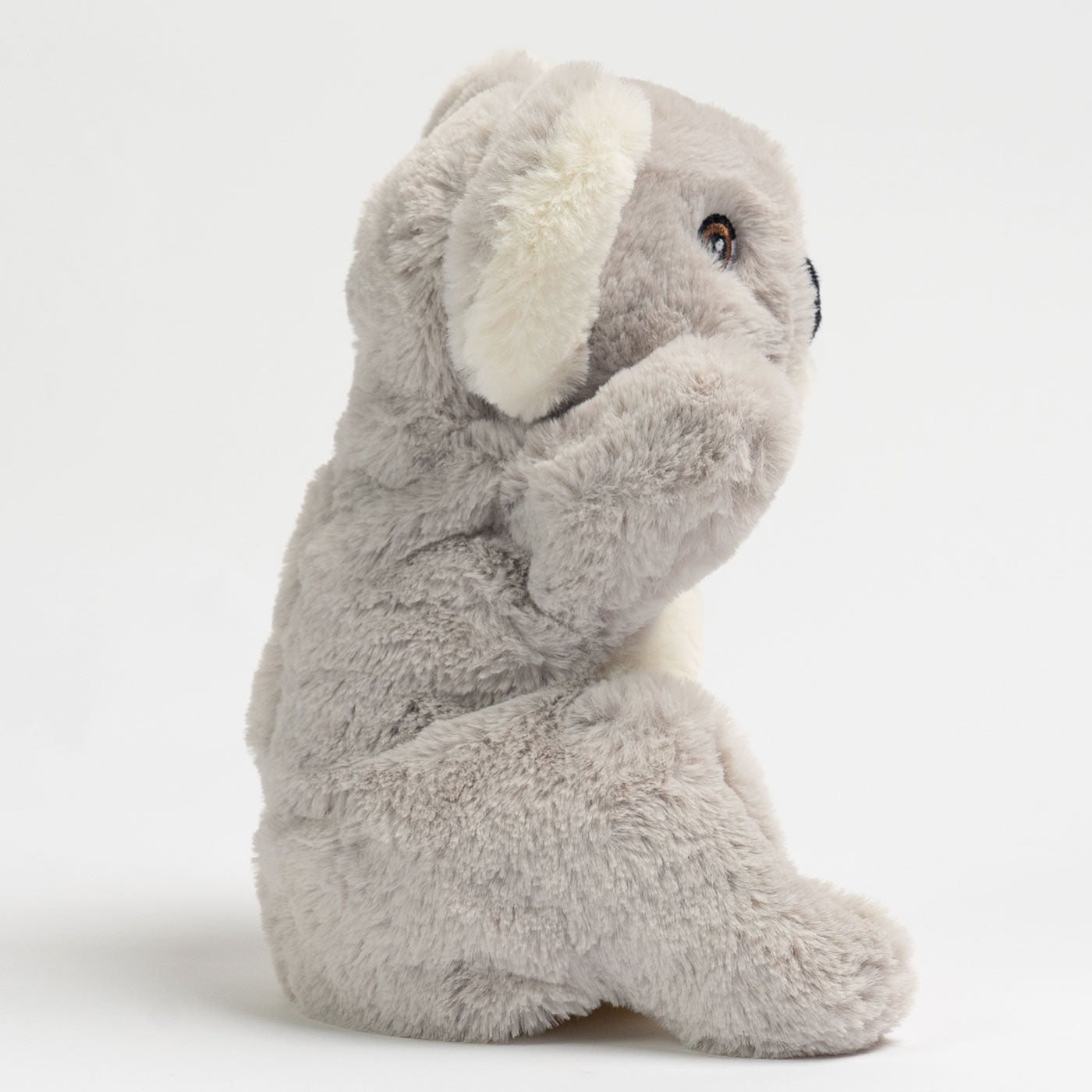 Eco Buddies Koala Puppet 25cm — Australian Geographic