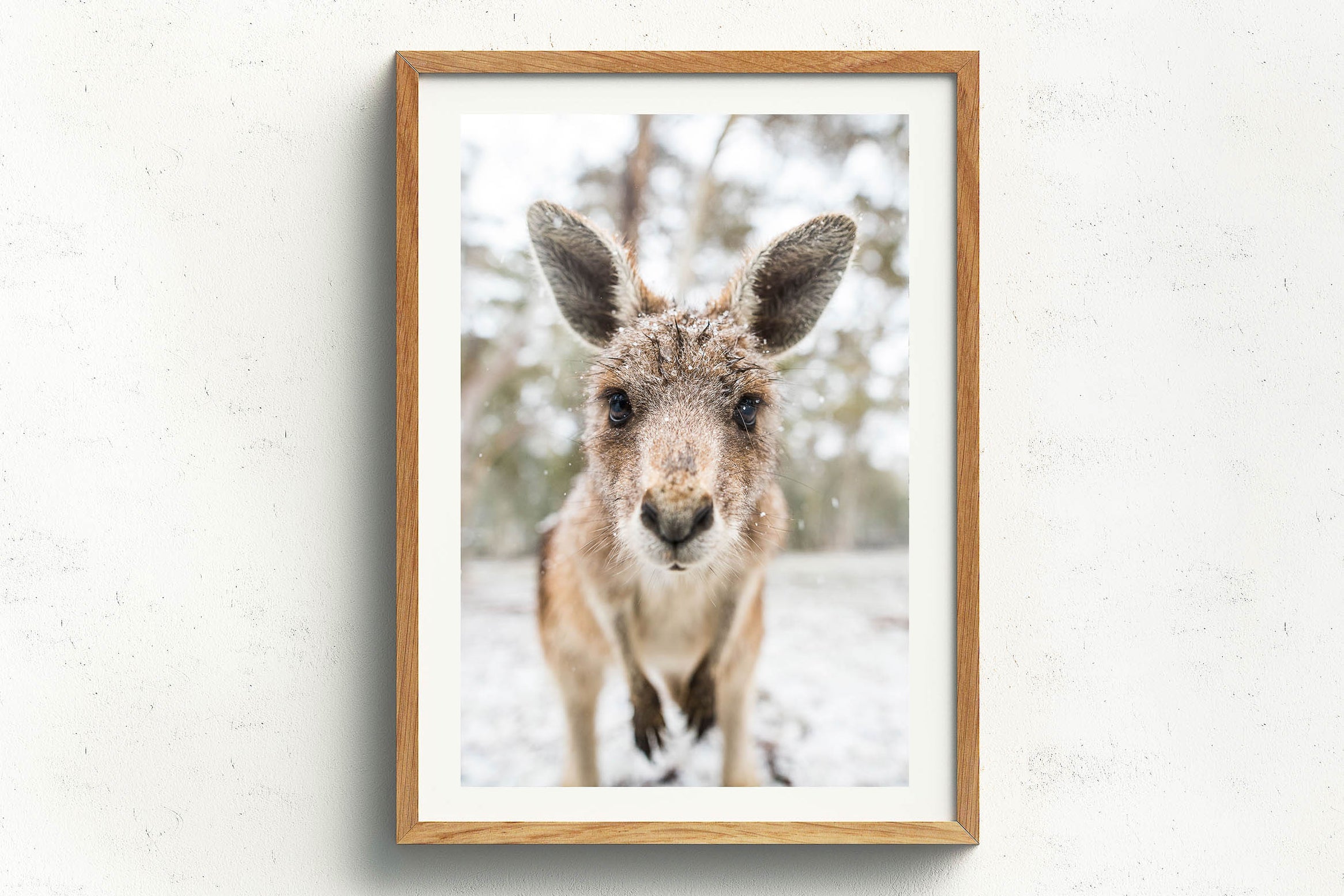 'Eric' by Charles Davis — Australian Geographic