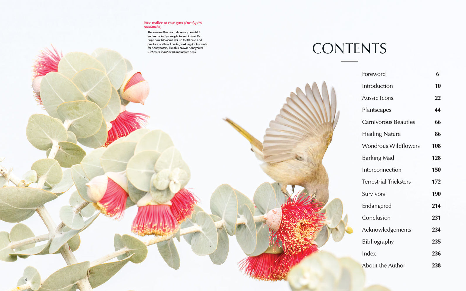 For the Love of Flora - Australian Geographic Books