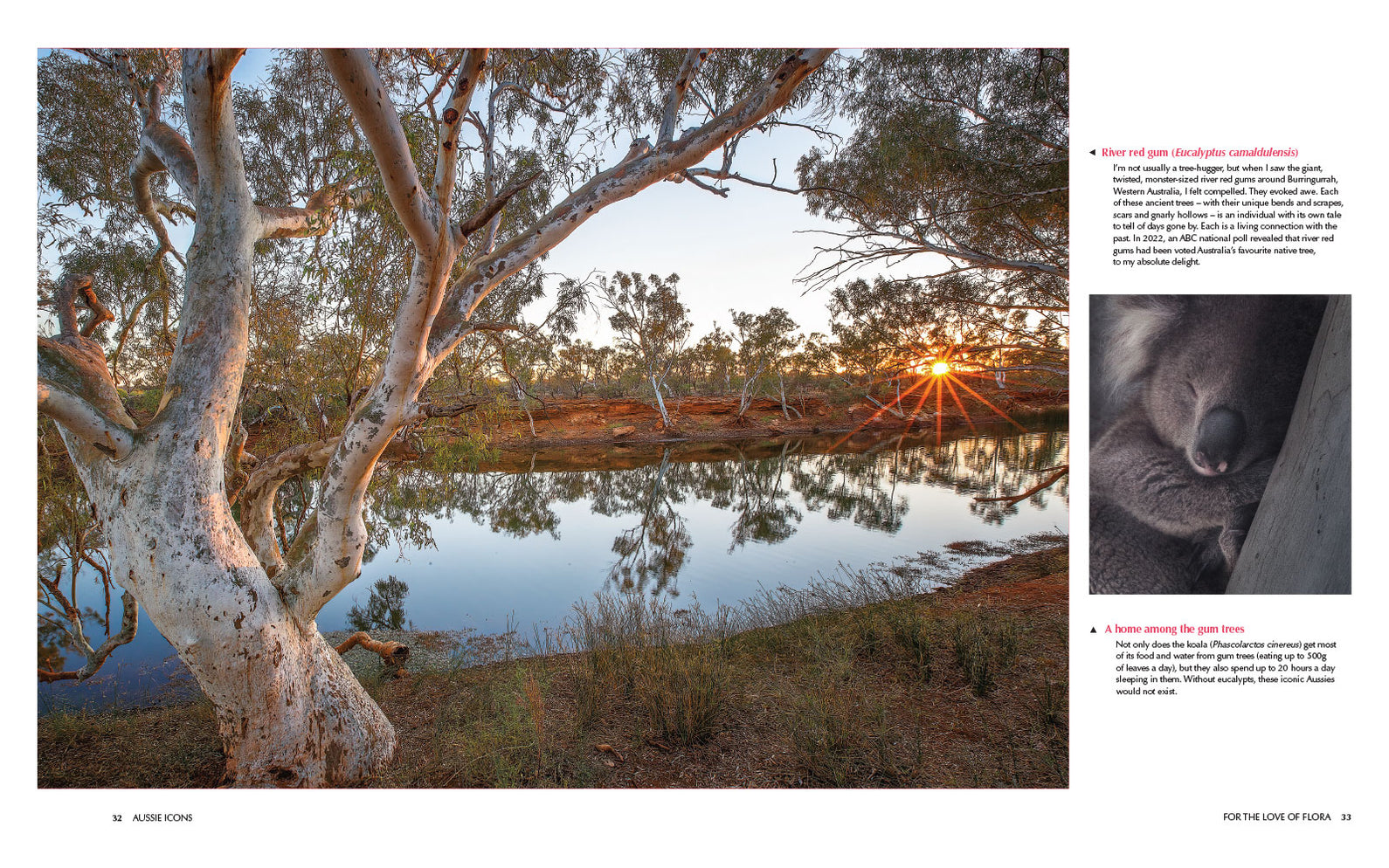 For the Love of Flora - Australian Geographic Books