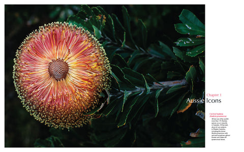 For the Love of Flora - Australian Geographic Books