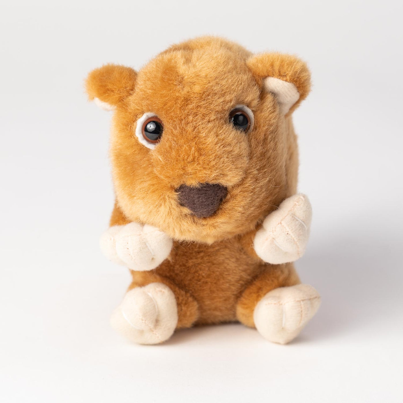 Baby Handfuls Wombat - Soft Plush Toy | Australian Geographic