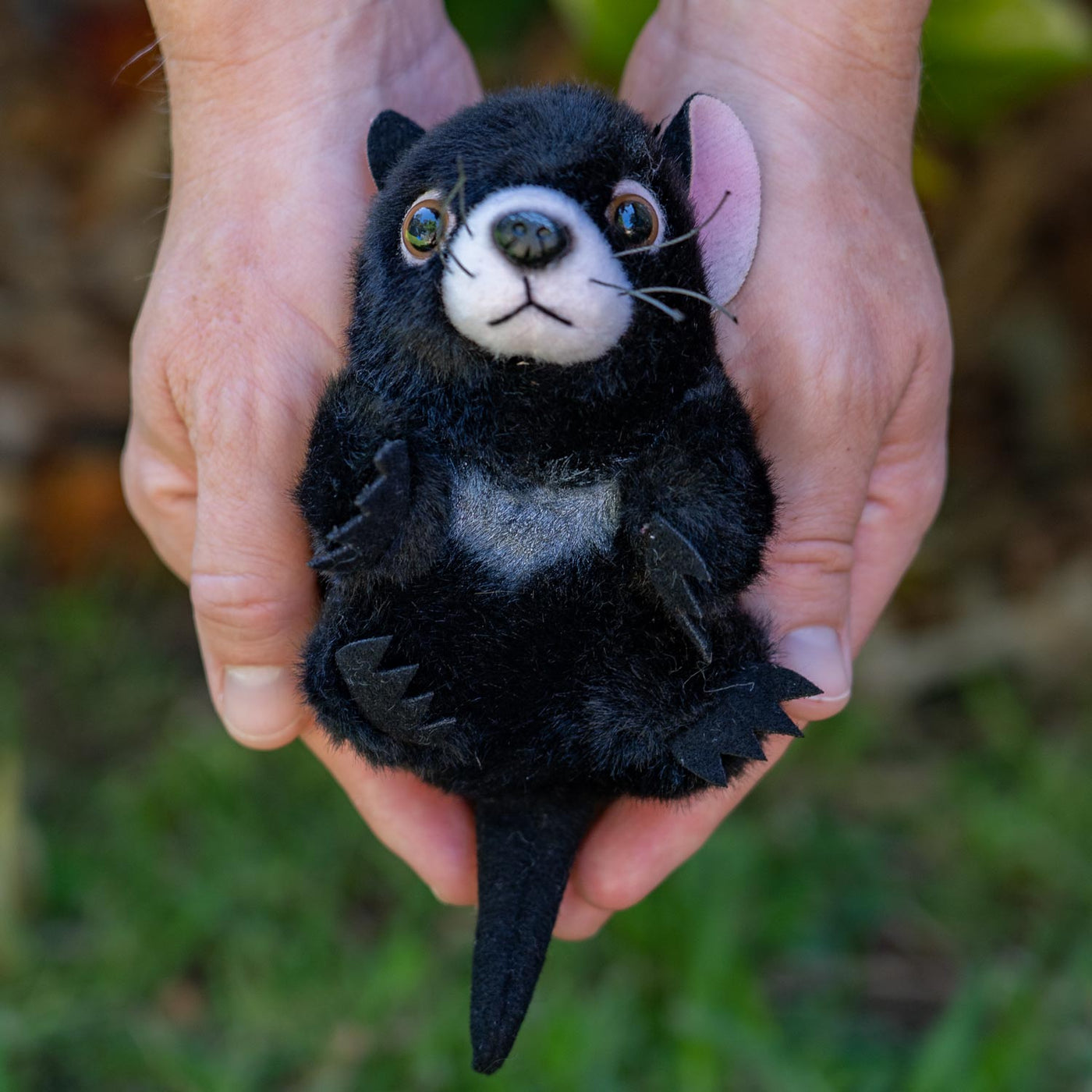 Baby Handfuls Tassie Devil - Soft Plush Toy | Australian Geographic
