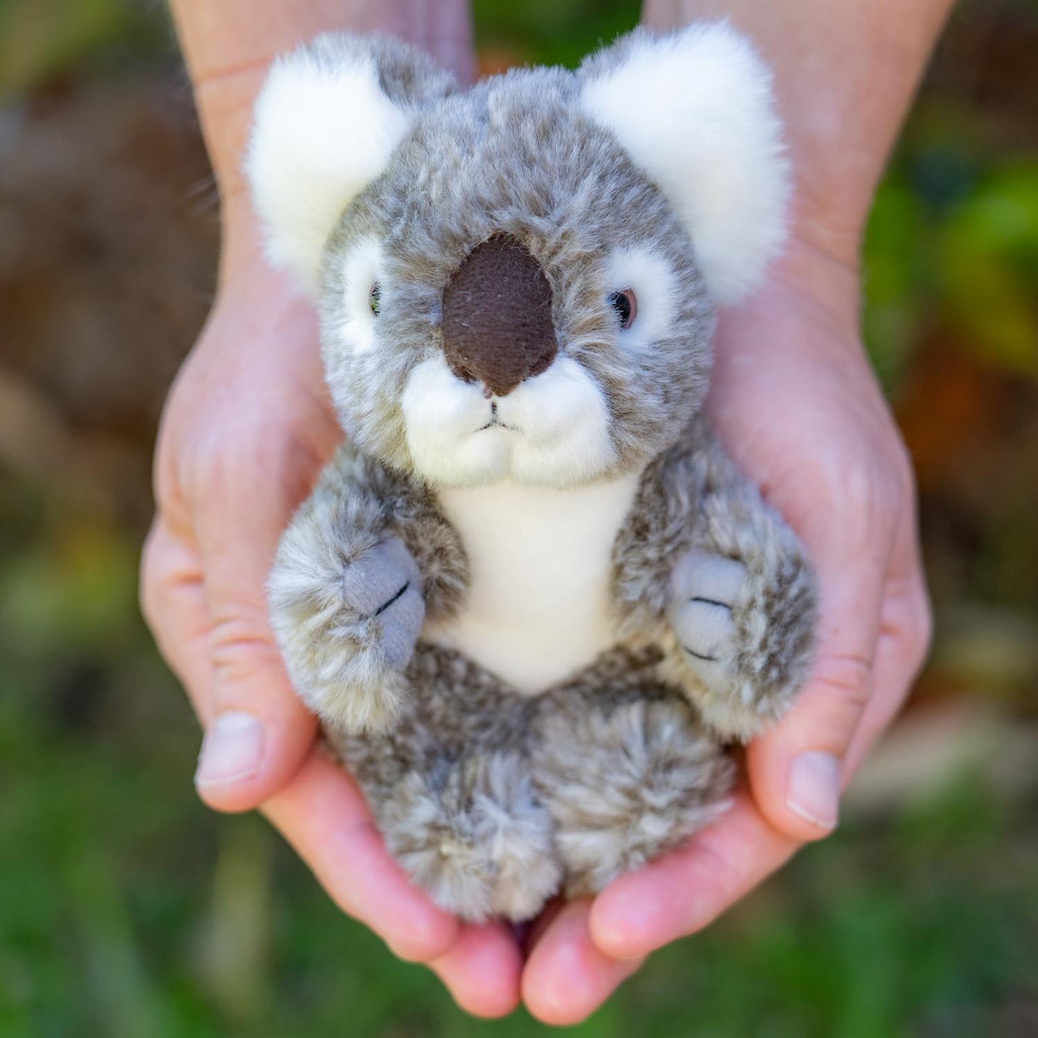 Baby Handfuls Koala - Soft Plush Toy | Australian Geographic