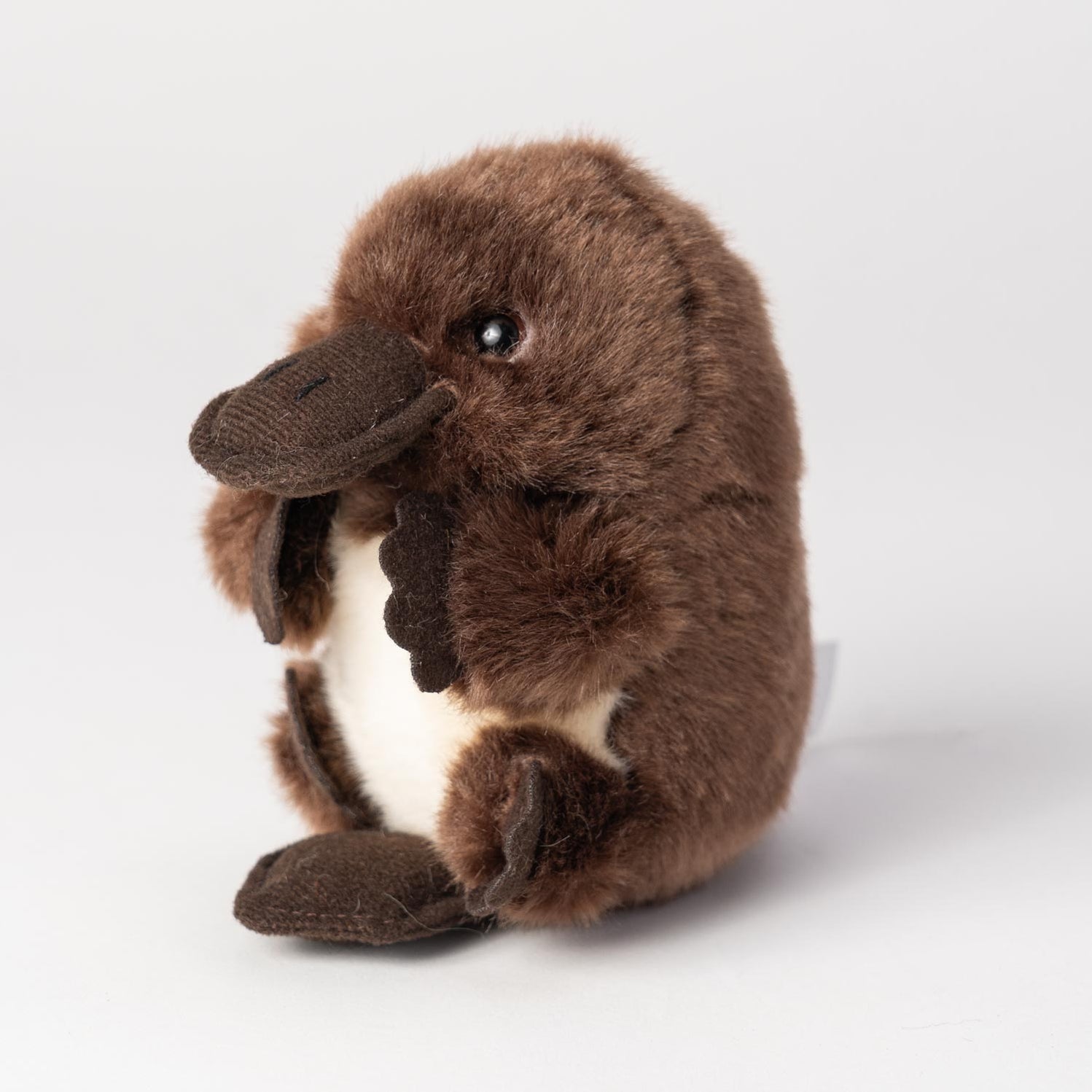 Baby Handfuls Platypus - Soft Plush Toy | Australian Geographic