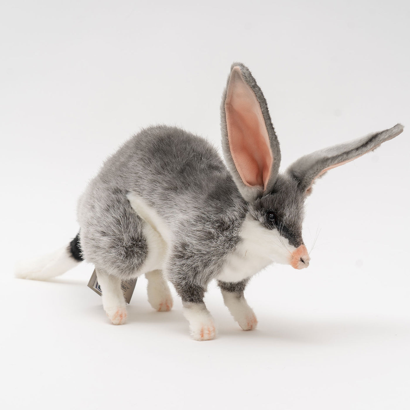 Hansa Bilby - 30cm - Soft Plush Toy | Australian Geographic