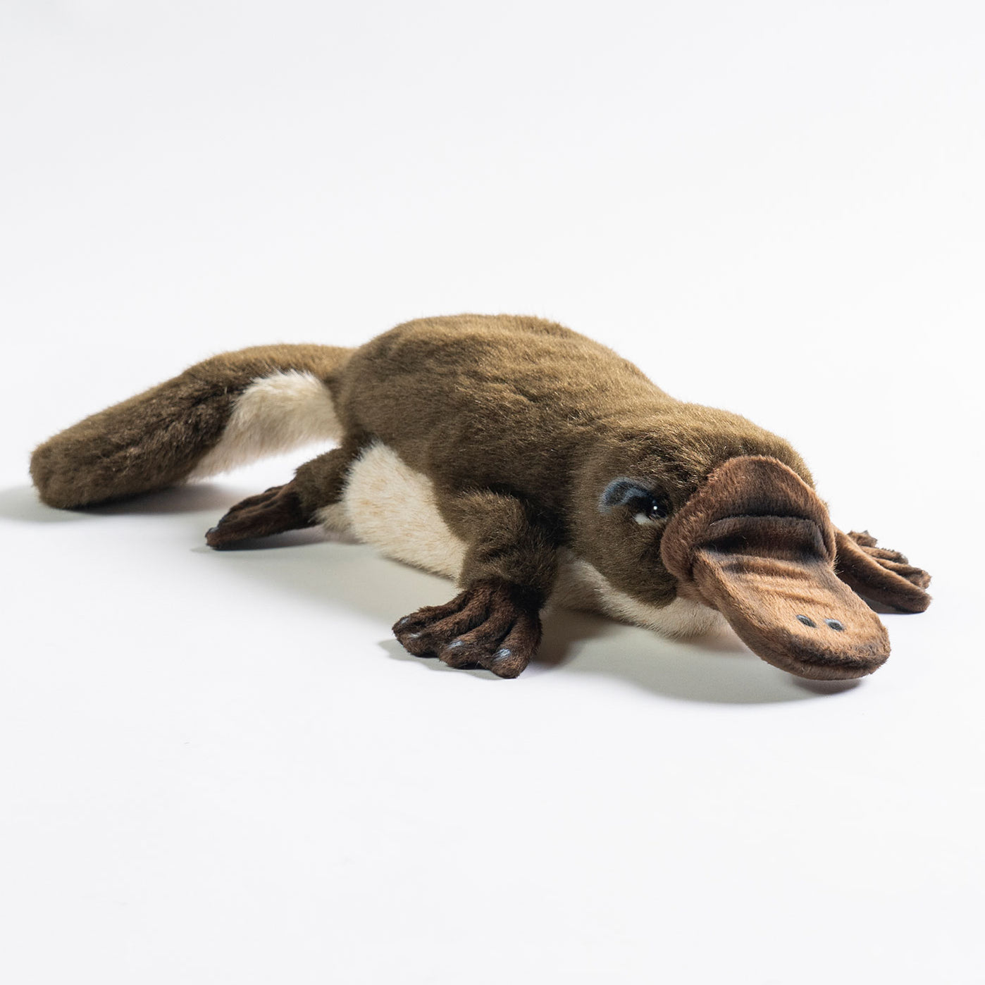 Hansa Puppets — Australian Geographic