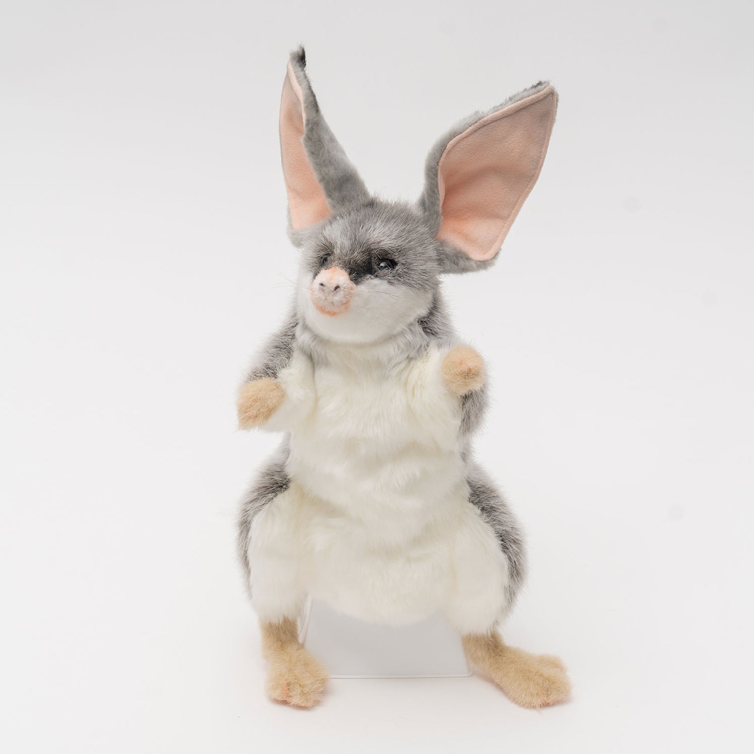 Bilbies, Not Bunnies | Australian Geographic Shop