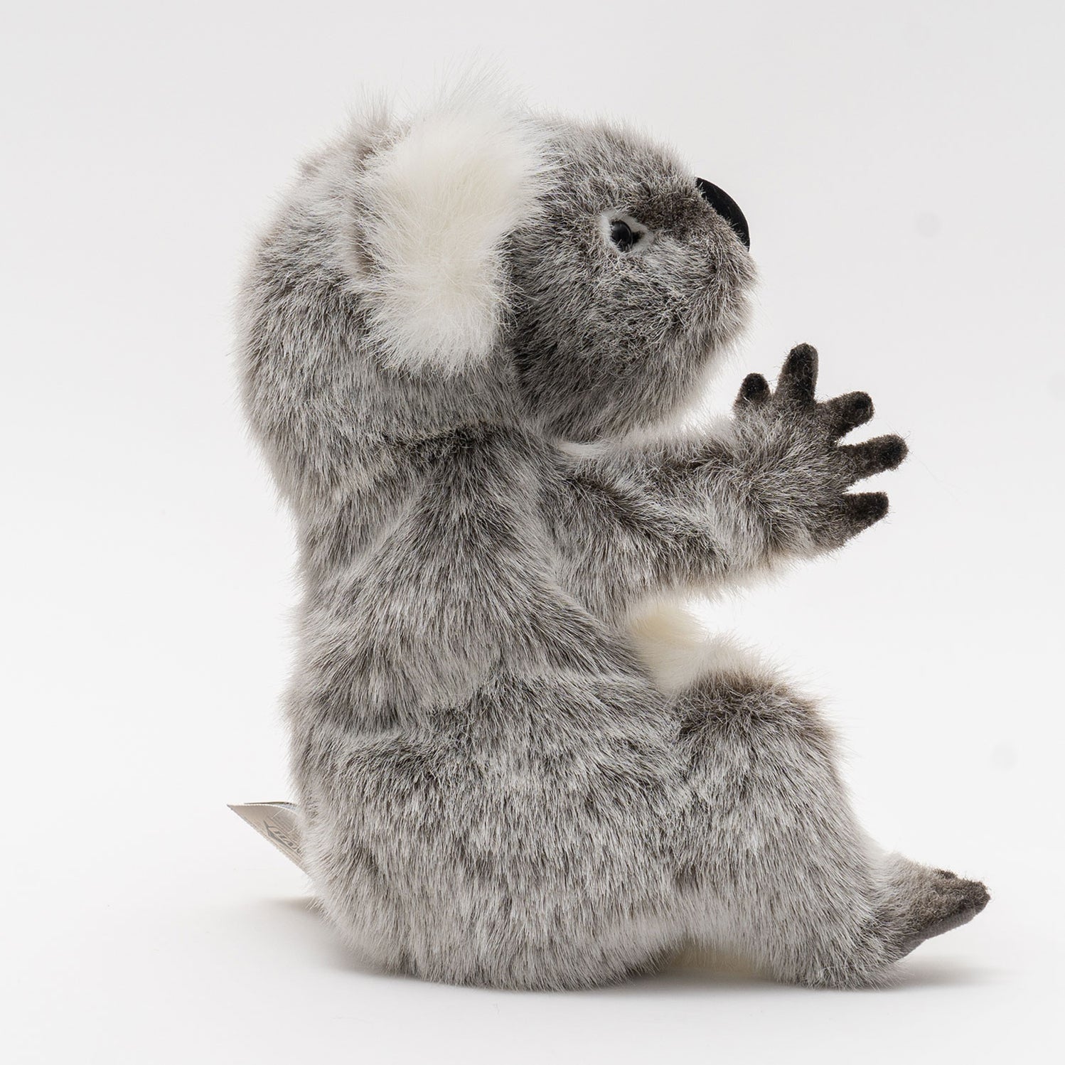 Hansa Koala Puppet - 28cm - Soft Plush Toy | Australian Geographic