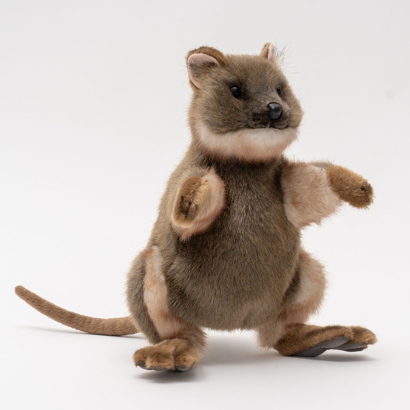 Hansa Quokka Puppet - 33cm - Soft Plush Toy | Australian Geographic