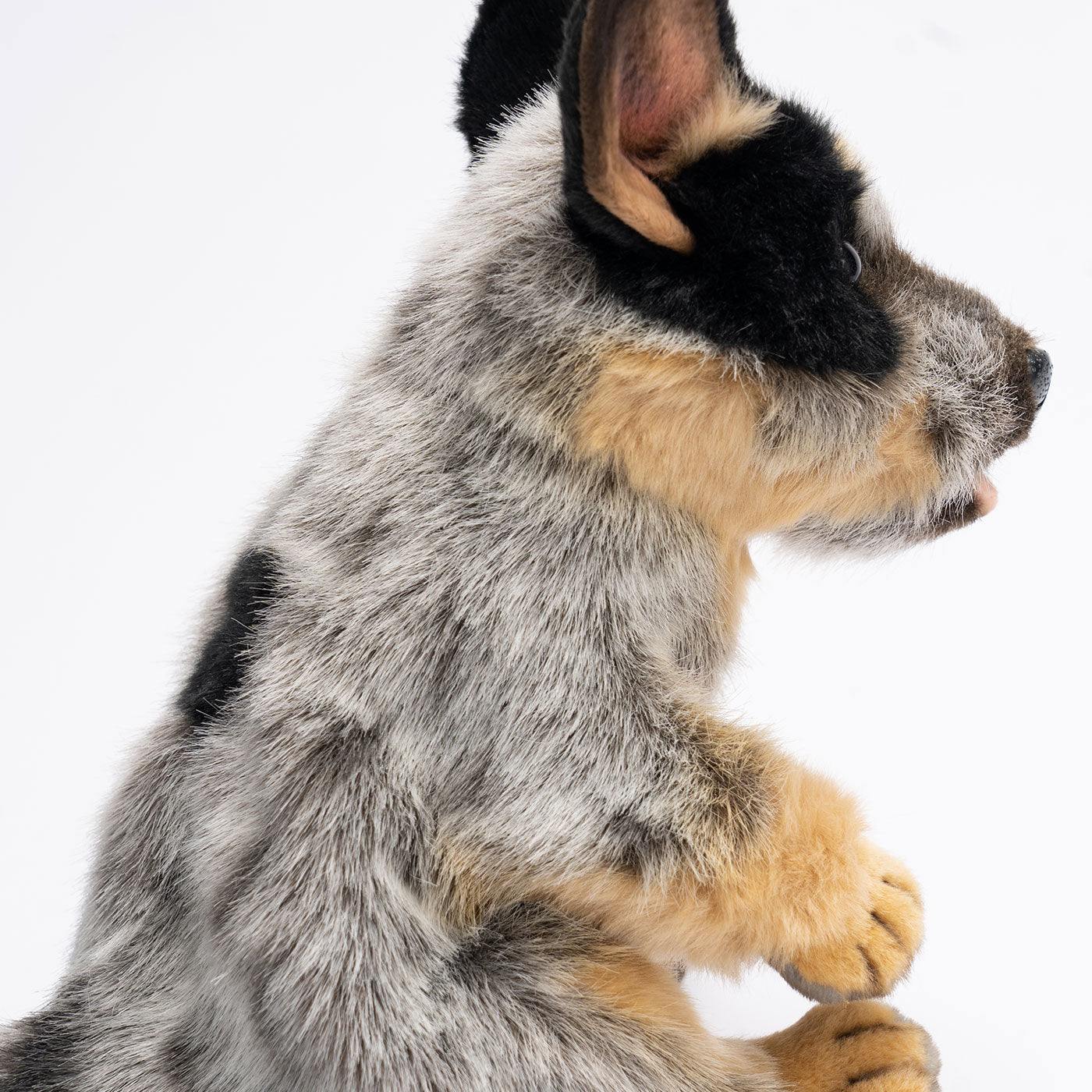 Hansa Blue Heeler Puppy Puppet - 30cm | Australian Geographic