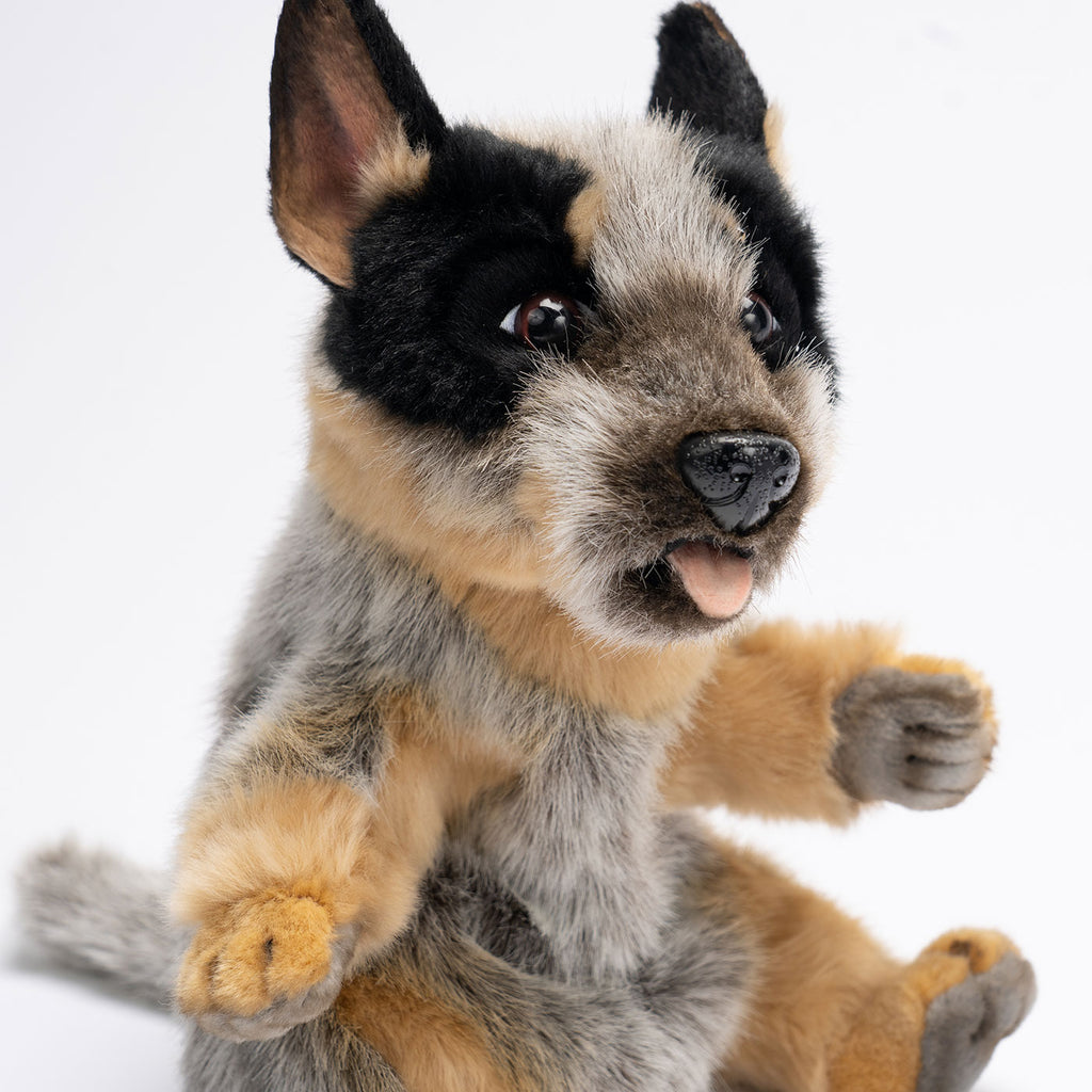 Australian Geographic Shop | Educational Toys, Telescopes and more