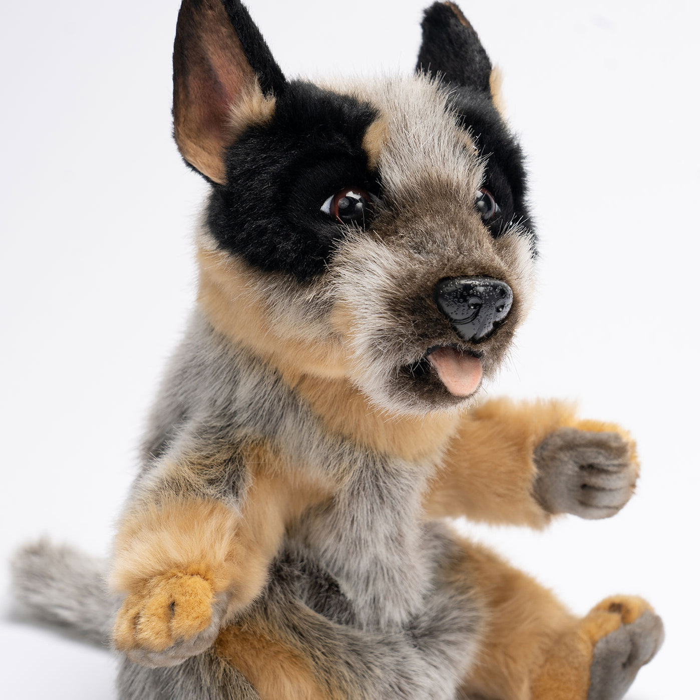 Kids' Plush & Soft Toys - Australian Geographic