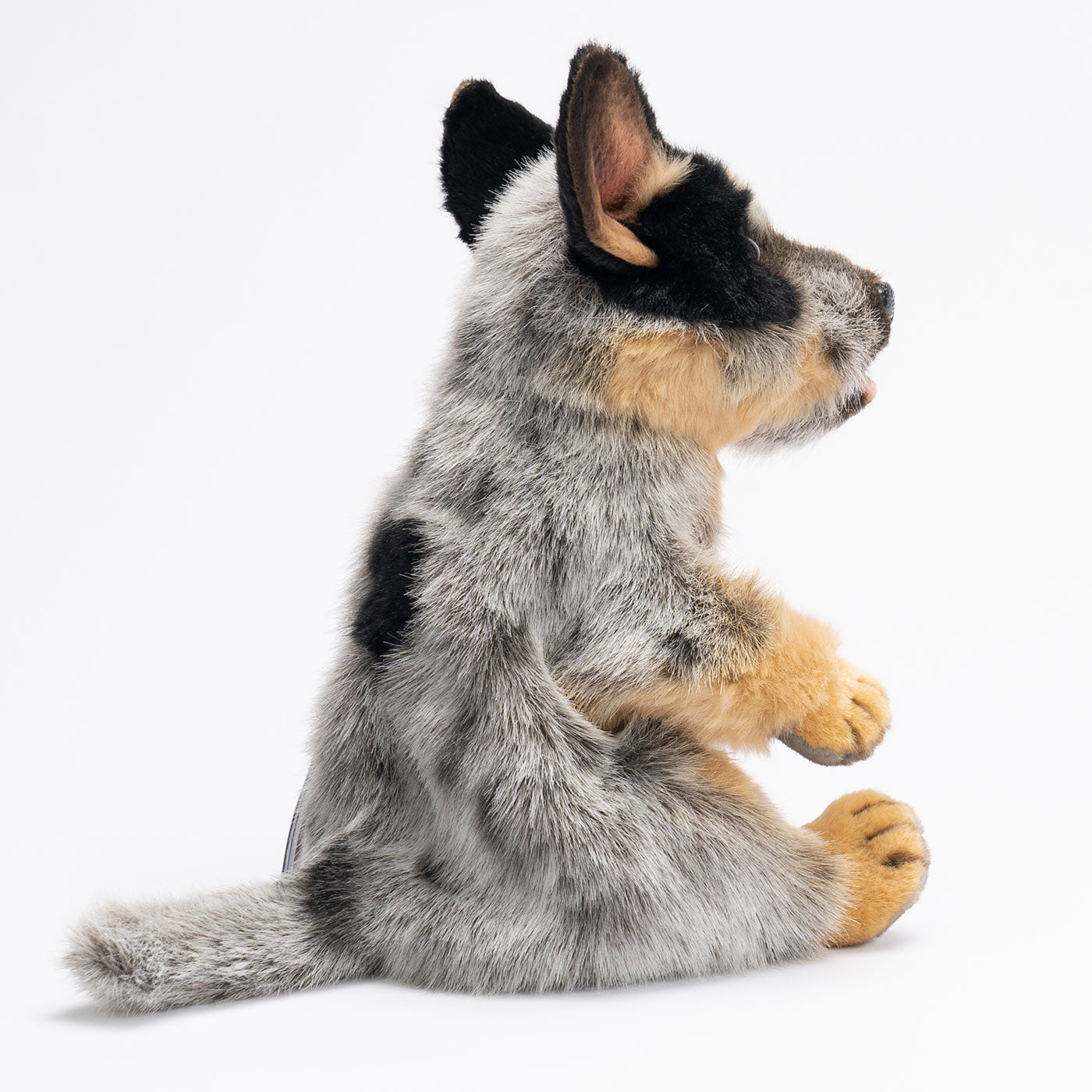Hansa Blue Heeler Puppy Puppet - 30cm | Australian Geographic
