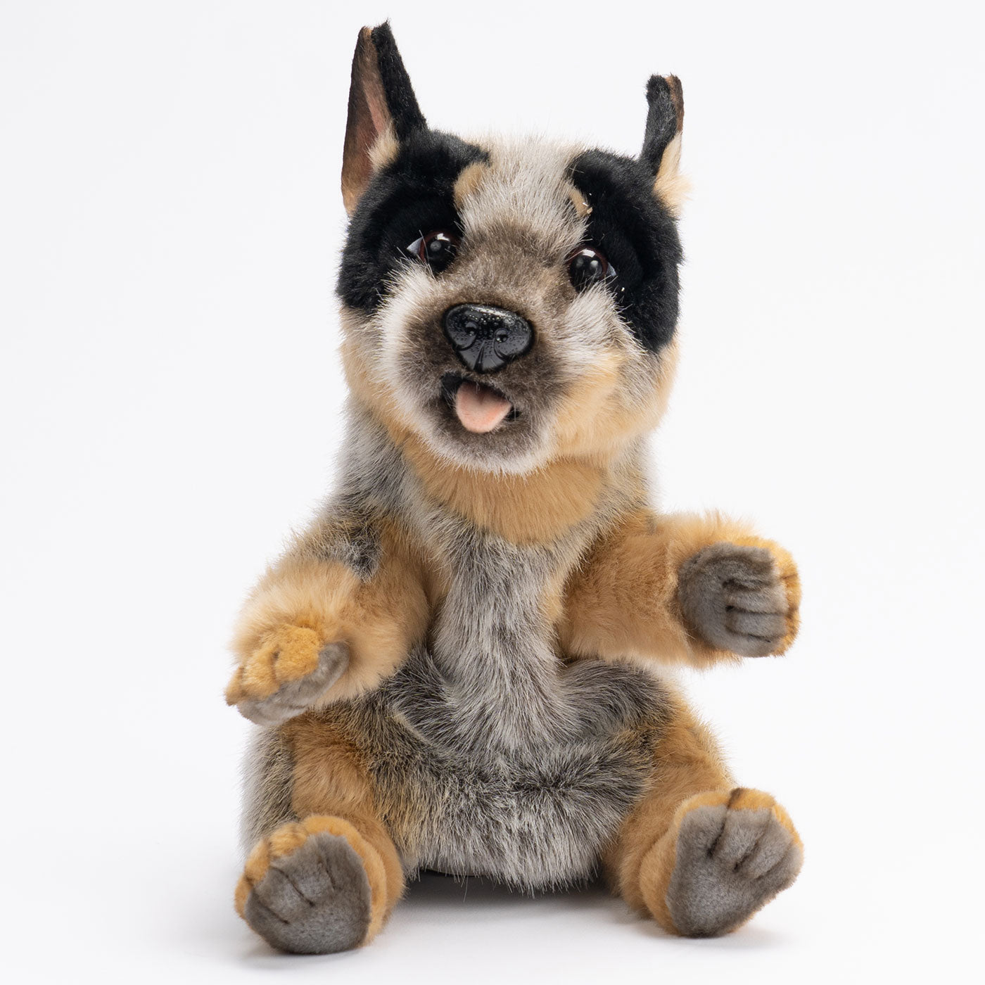 Hansa Blue Heeler Puppy Puppet - 30cm | Australian Geographic