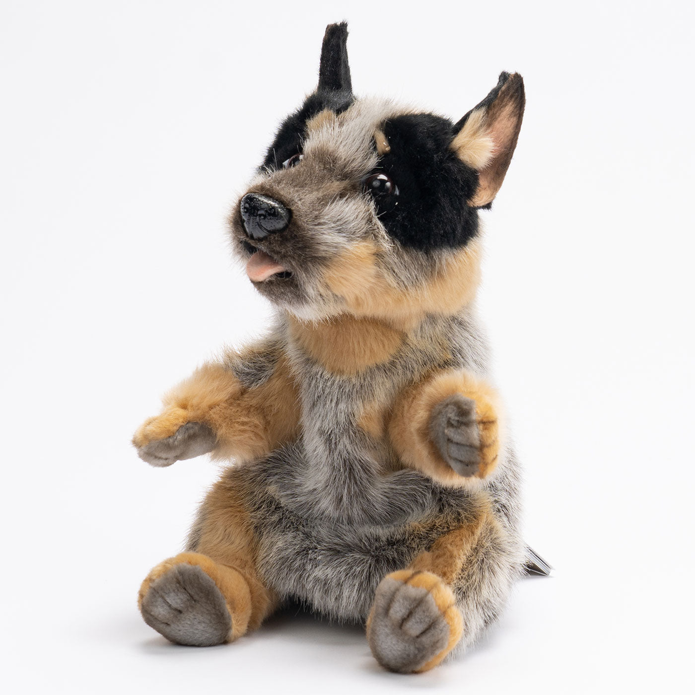 Hansa Blue Heeler Puppy Puppet - 30cm | Australian Geographic
