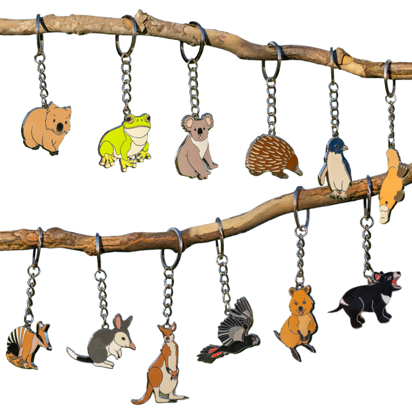 Australian Geographic Products | Shop Online Now