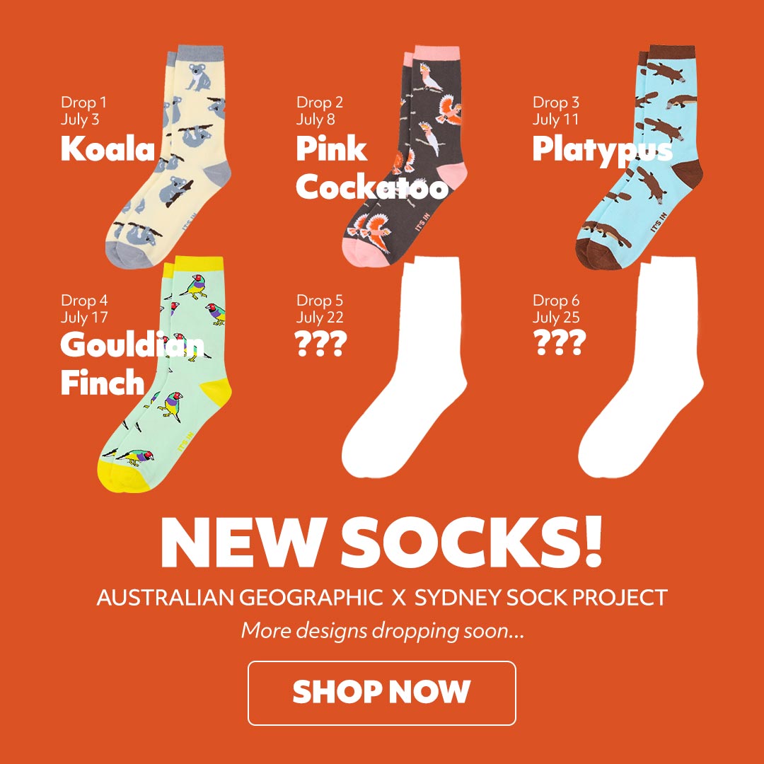 Australian Geographic Shop | Educational Toys, Telescopes and more