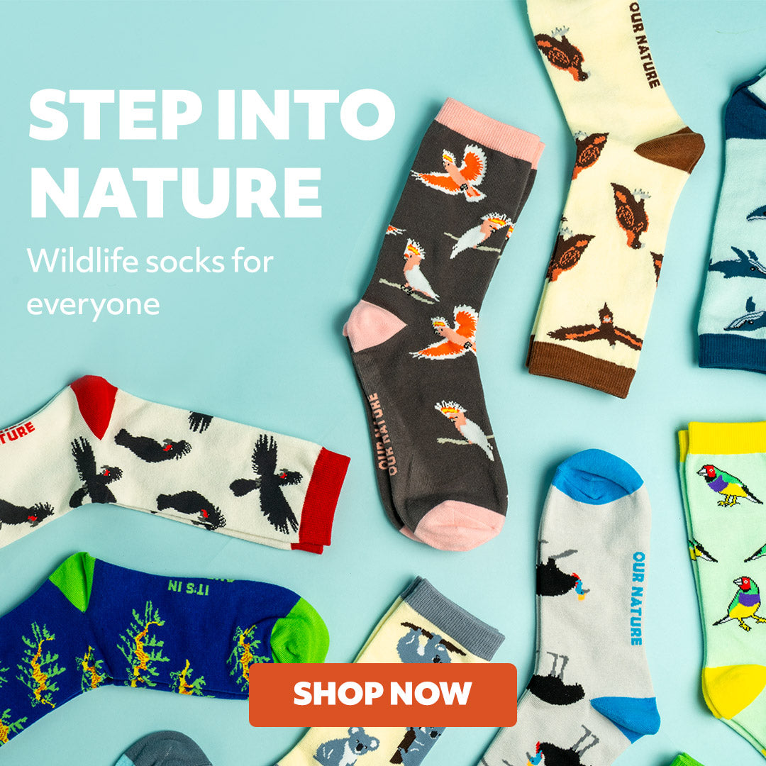 Australian Geographic Shop | Educational Toys, Telescopes and more