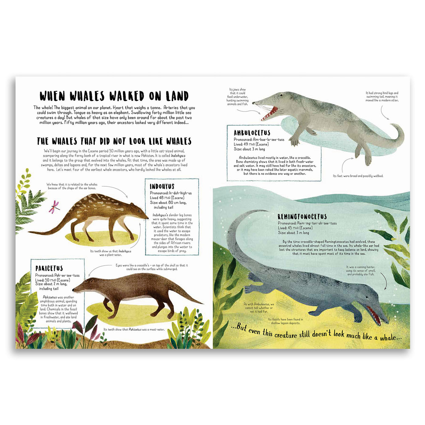 Australian Geographic Products | Shop Online Now