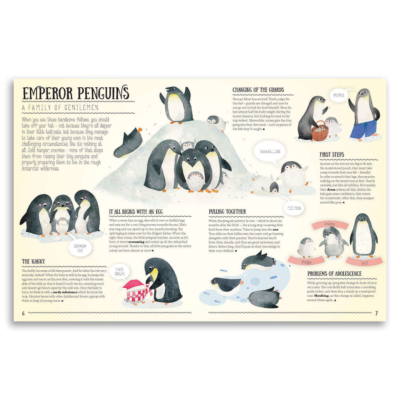 Why Kangaroos Have Pockets — Australian Geographic