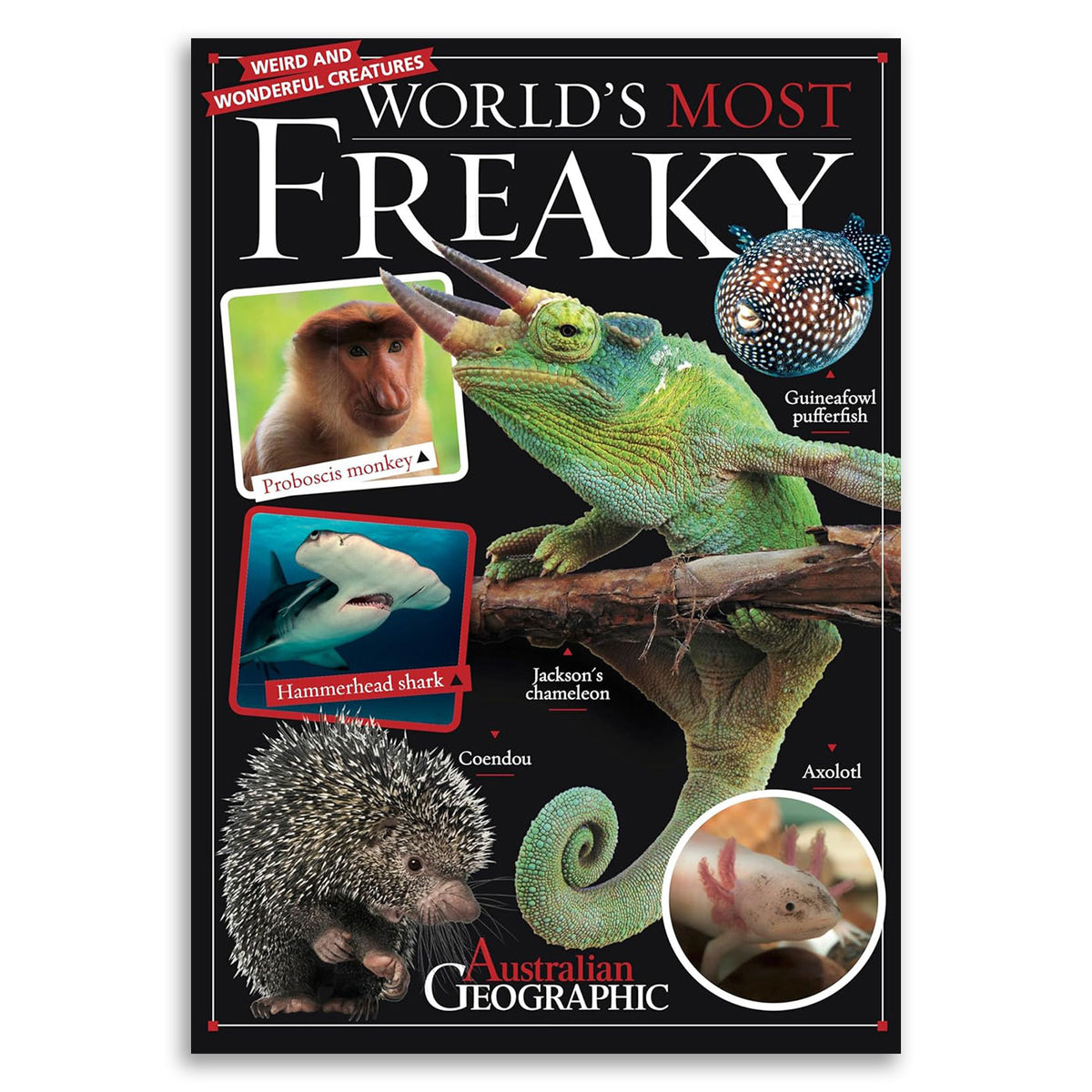 World’s Most Freaky — Australian Geographic