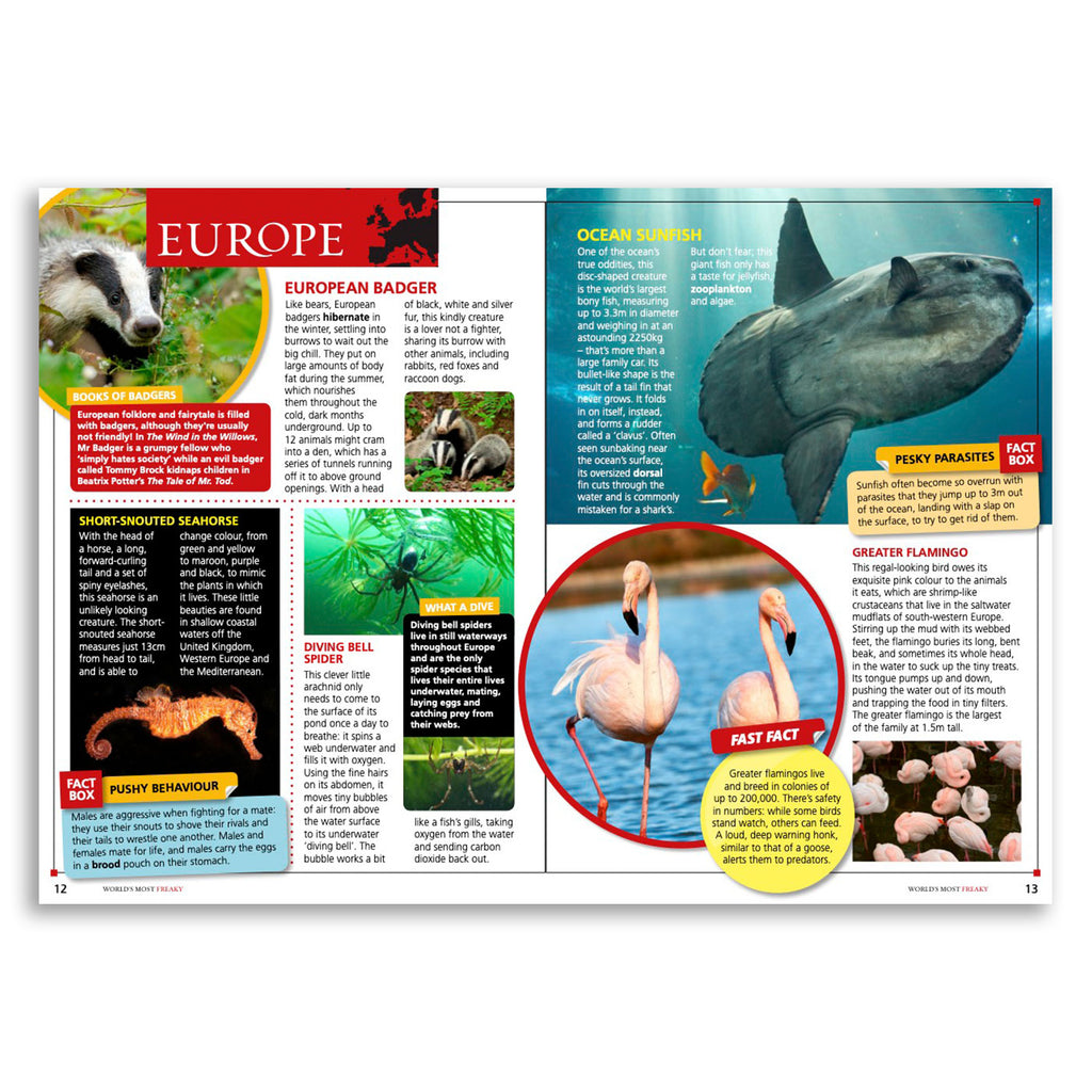 Australian Geographic Products | Shop Online Now